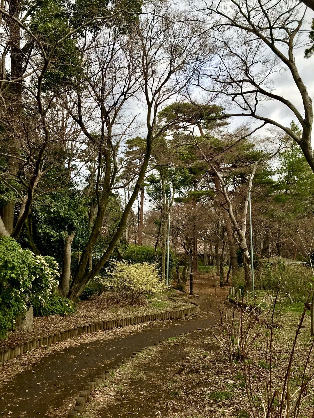 右腕を吊り、固定し・・・ 朝の散歩は浴恩... / tsukayan👨‍🦳さんのモーメント | YAMAP / ヤマップ