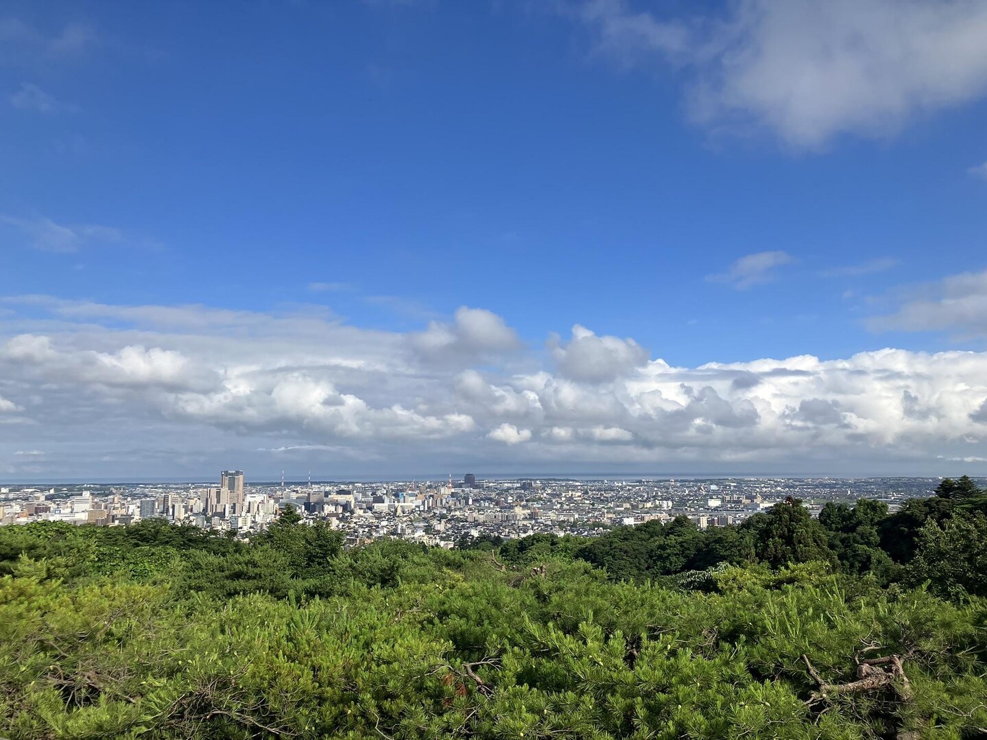 卯辰山・春日山-2023-06-25 / YuZOさんの卯辰山の活動データ | YAMAP / ヤマップ