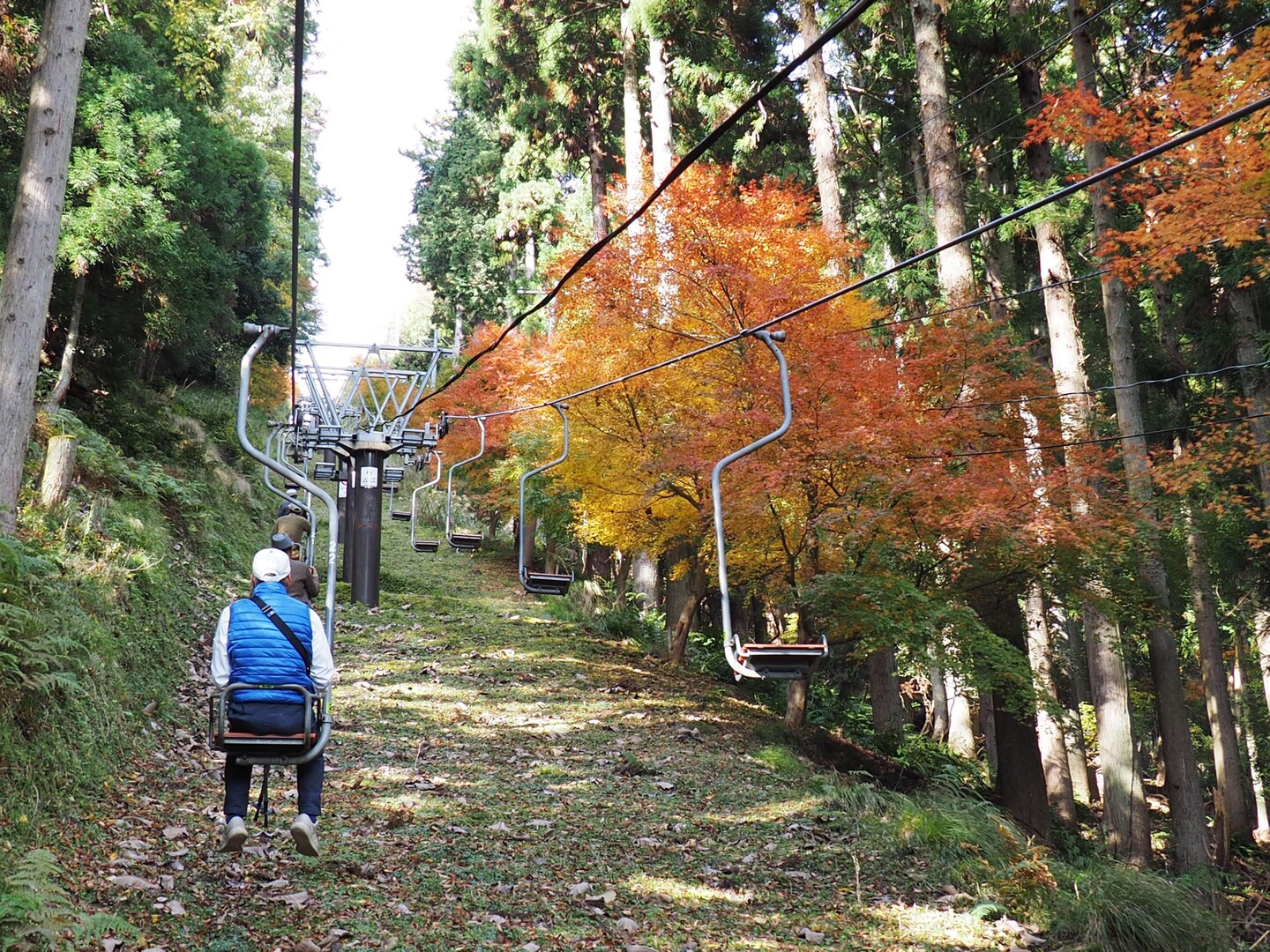 マキノ・メタセコイア並木；賤ヶ岳；鶏足寺・石道寺 / sensaさんの賤ヶ岳・山本山の活動データ | YAMAP / ヤマップ