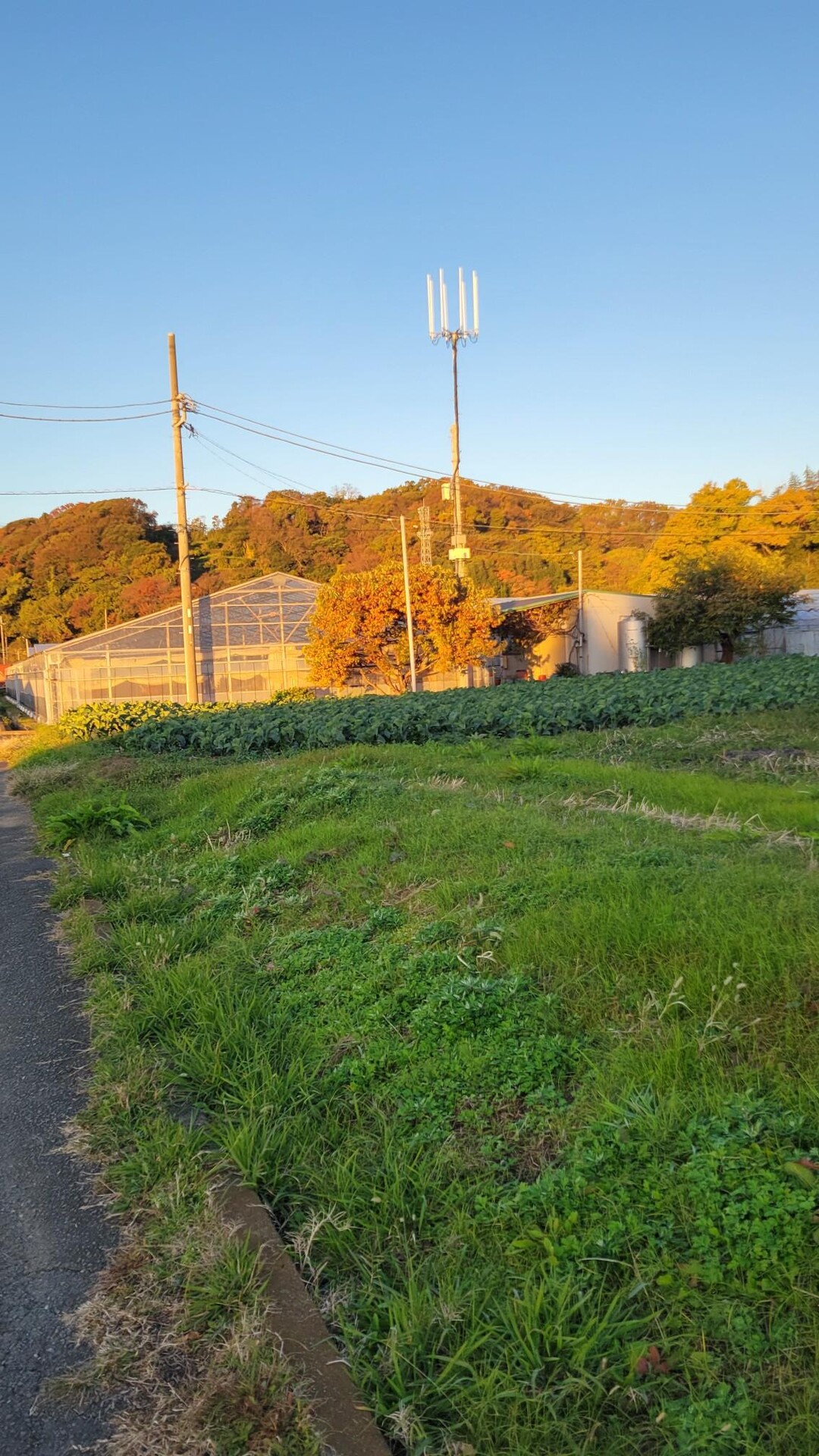 今日の朝活🚶 歩いてると、ゾロゾロと人... / kazuさんのモーメント | YAMAP / ヤマップ