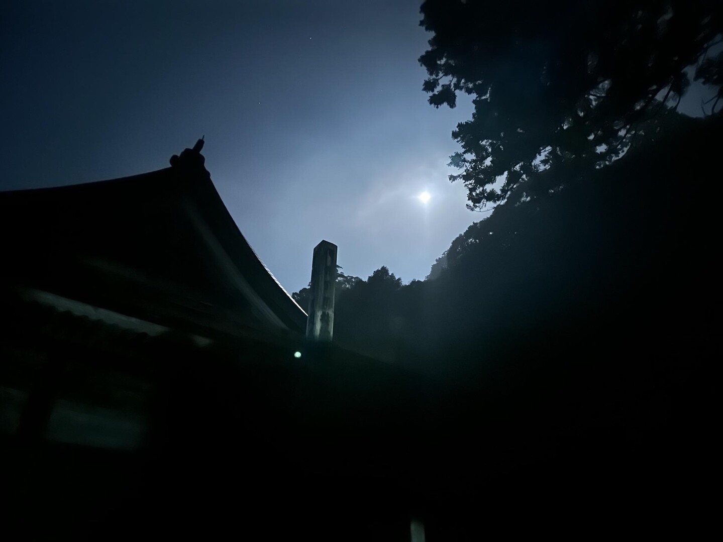 大師山にのぼろう！2023年登り納め ️ / tamiwaさんの来日岳の活動データ | YAMAP / ヤマップ