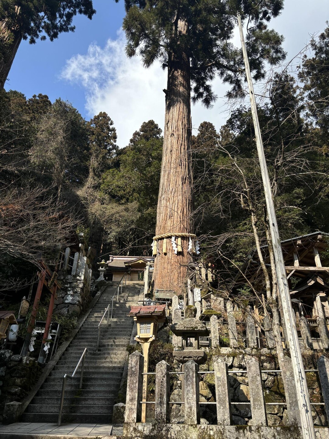 ウォーキング-2025-01-20鞍馬山 貴船神社 / keiichiさんのウォーキングの活動データ | YAMAP / ヤマップ