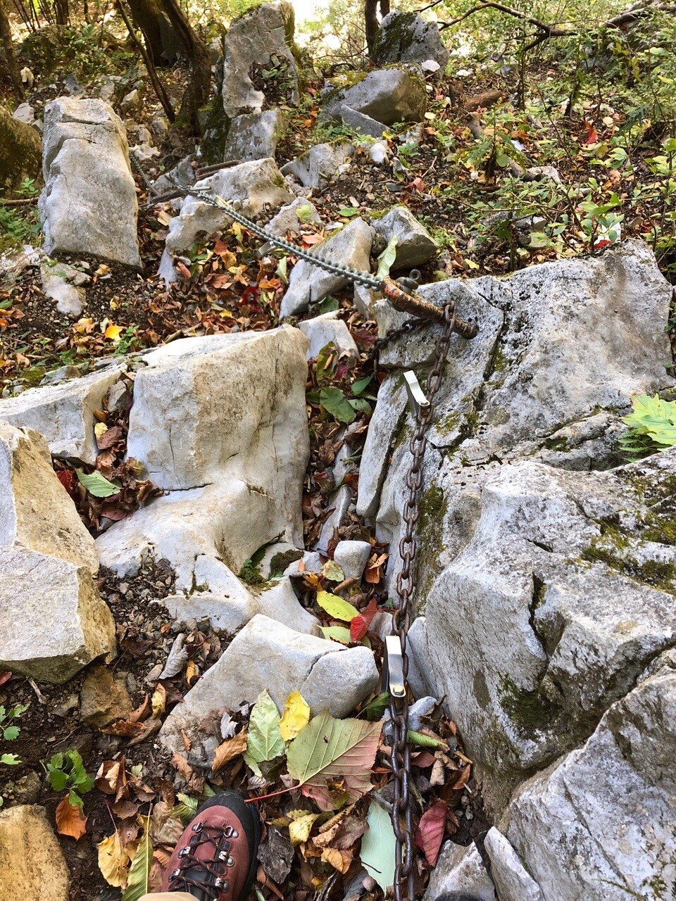 Emmaさんの投稿したフィールドメモ | YAMAP / ヤマップ