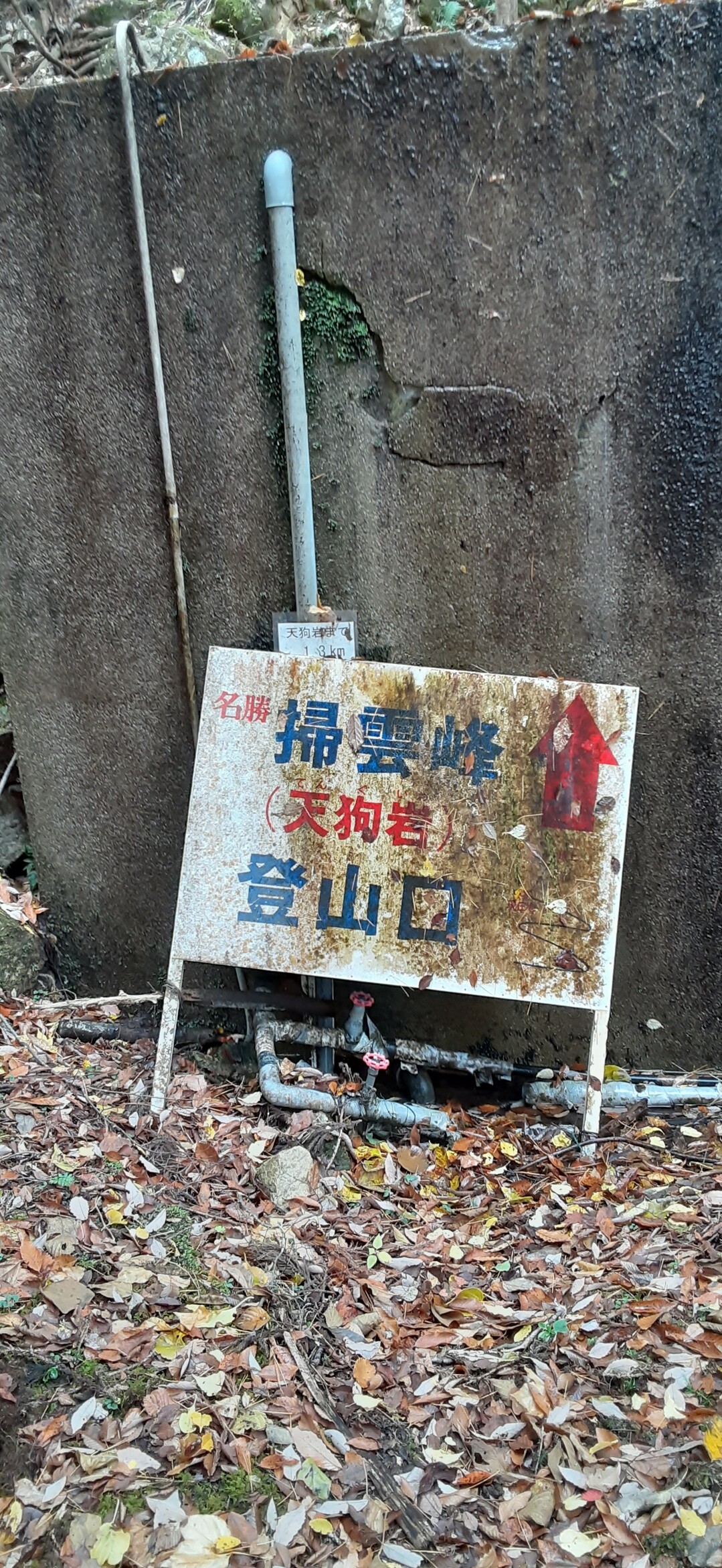 Shinさんの投稿したフィールドメモ | YAMAP / ヤマップ