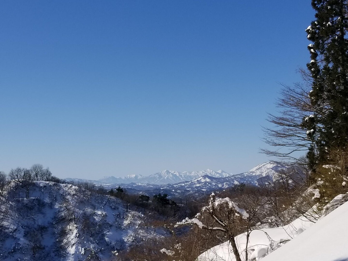 城山 / ta-さんの時水城山・丸山の活動データ | YAMAP / ヤマップ