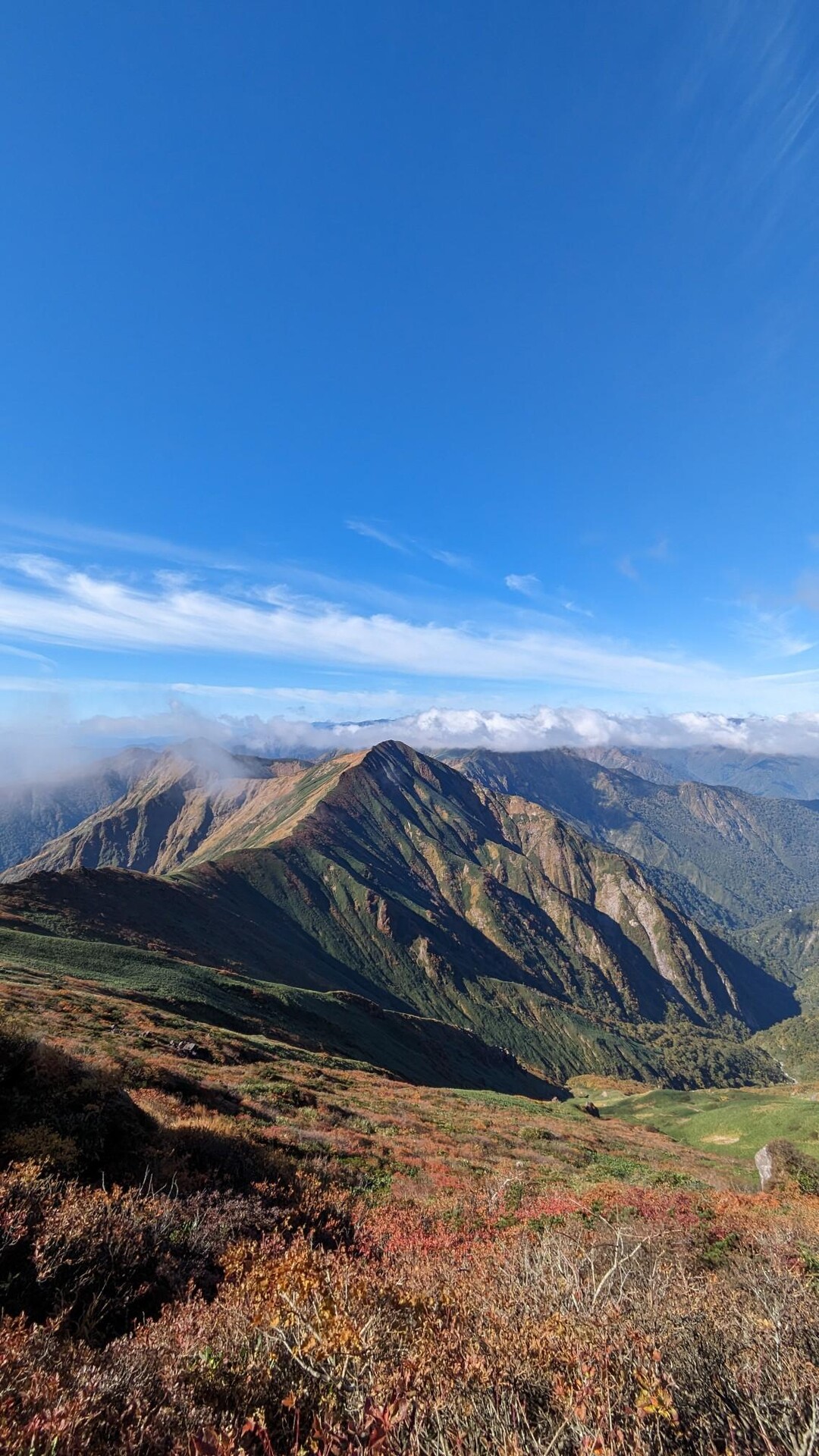 突き抜けるような青空の下で、俺は筋肉痛になった。 / Hayaさんの谷川岳・七ツ小屋山・大源太山の活動データ | YAMAP / ヤマップ