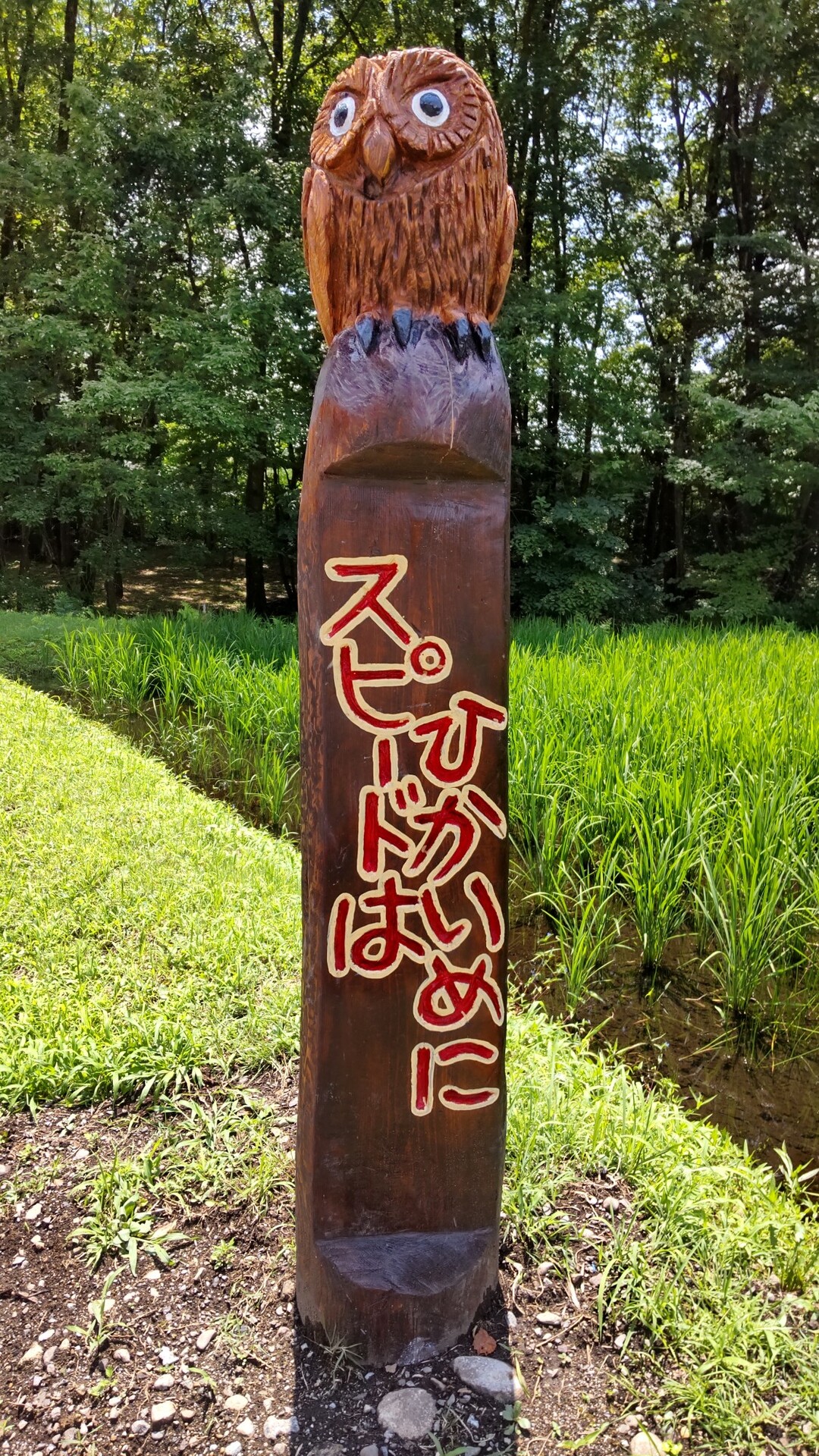 shin-5のページ | YAMAP / ヤマップ