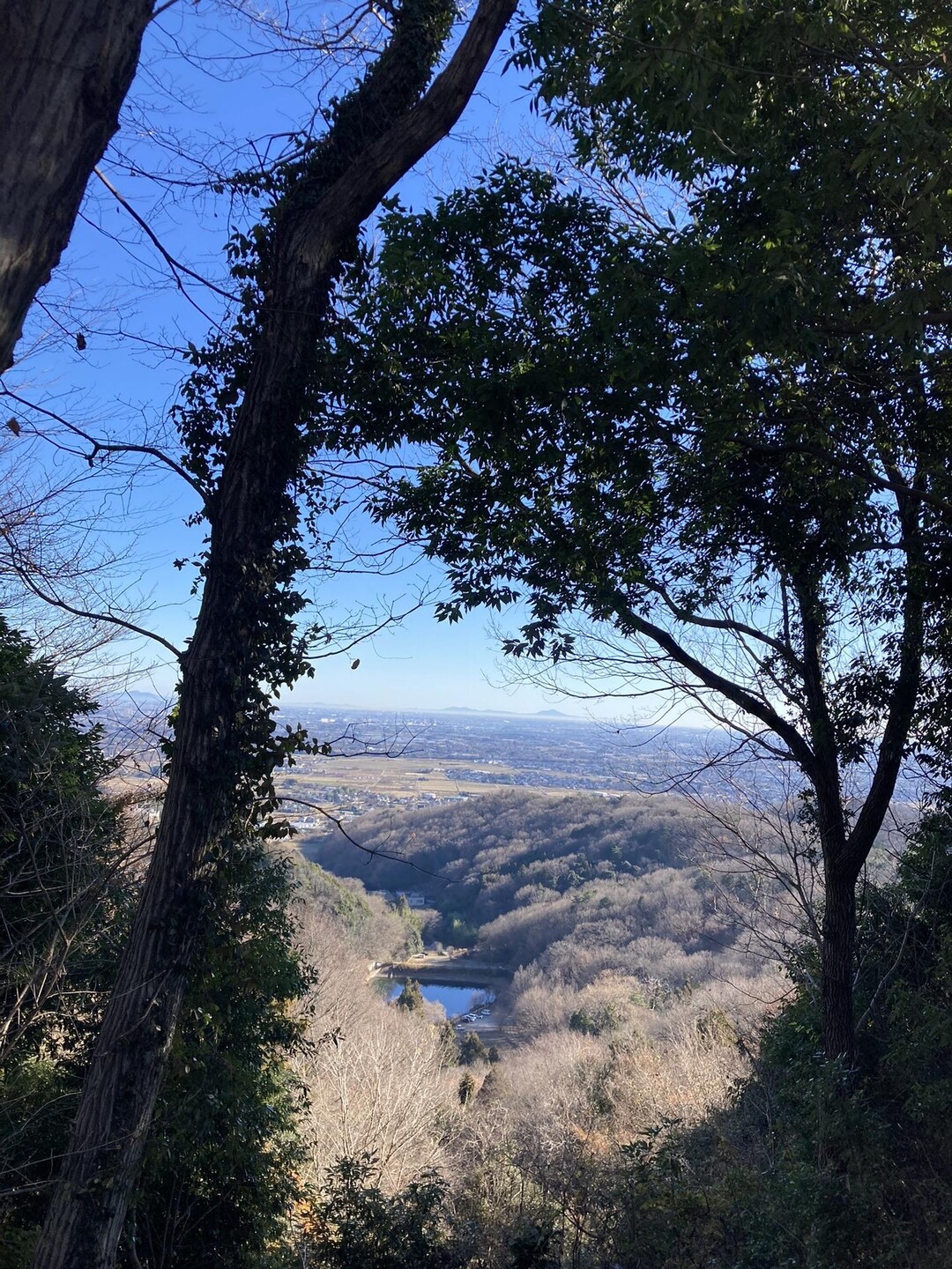 八幡山・鐘撞堂山 / kimiさんの宝登山・長瀞アルプス・不動山・陣見山・鐘撞堂山の活動データ | YAMAP / ヤマップ