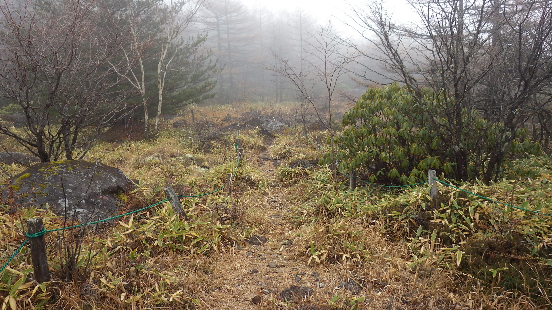 yudoburiさんの投稿したフィールドメモ | YAMAP / ヤマップ