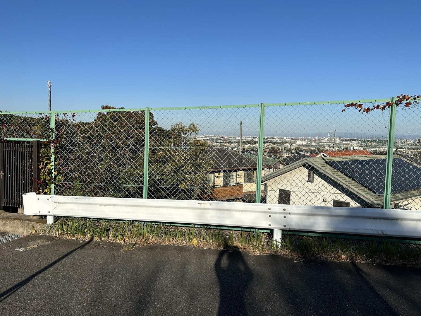 マイコースに復活( ¨̮ ) 本日の御... / RTさんのモーメント | YAMAP / ヤマップ