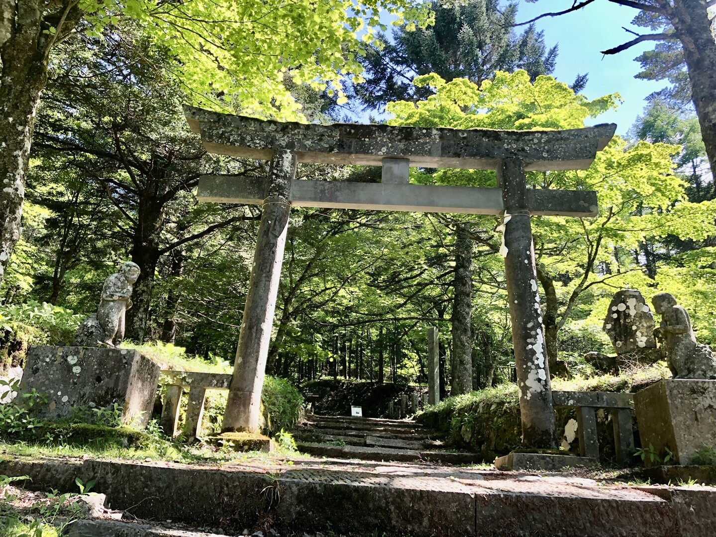 富士山を麓から歩こう🥾🥾🥾 / 登 人 《 ITC-ONE 》さんの富士山の活動データ | YAMAP / ヤマップ