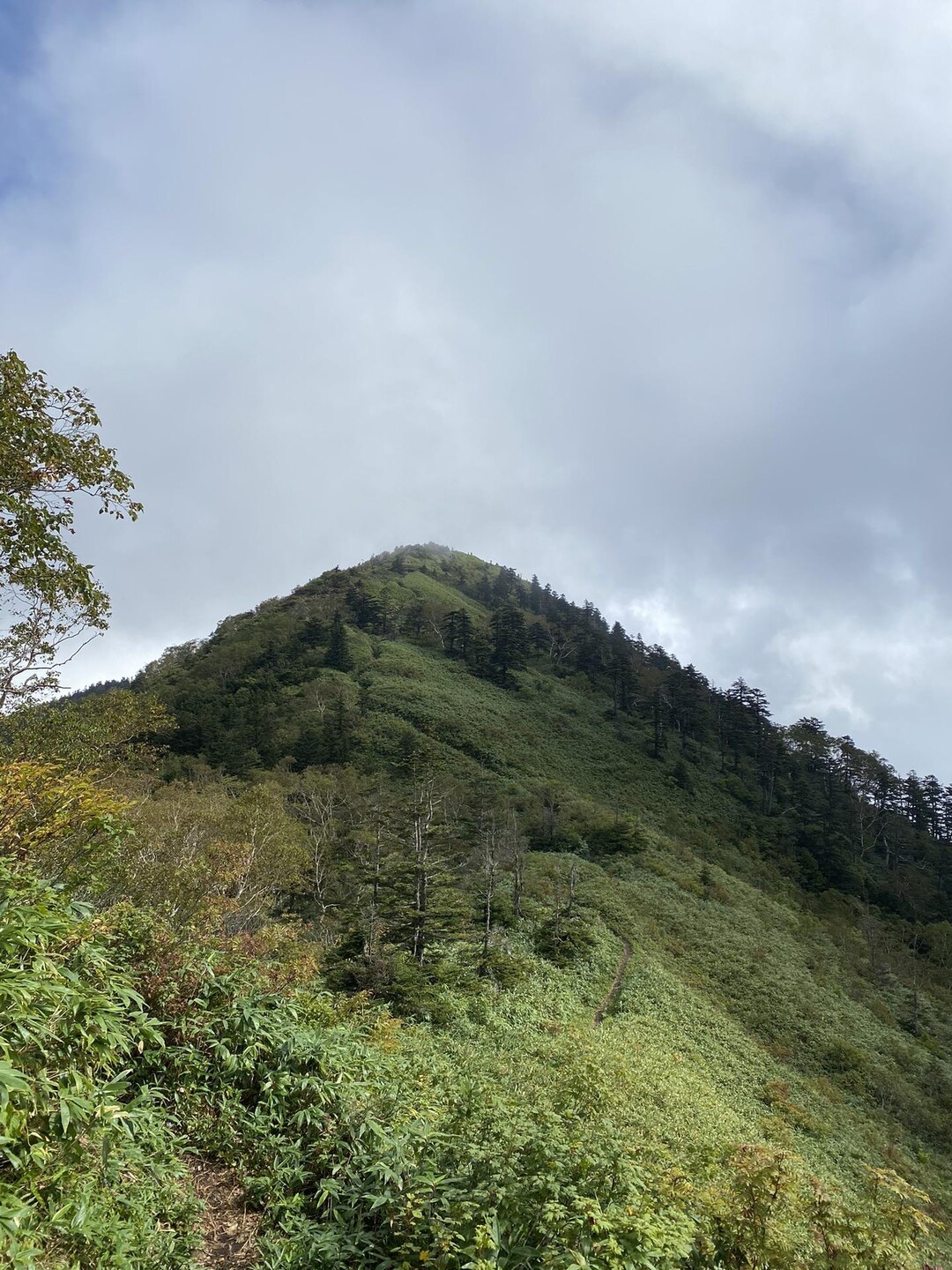 黒姫山 / sumiさんの黒姫山の活動データ | YAMAP / ヤマップ