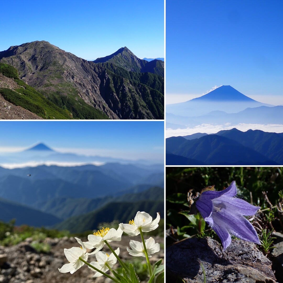 爆風🌬️のちど快晴☀️の白峰三山縦走※雷鳥親子動画あり / parotinさんの北岳・間ノ岳・農鳥岳の活動データ | YAMAP / ヤマップ