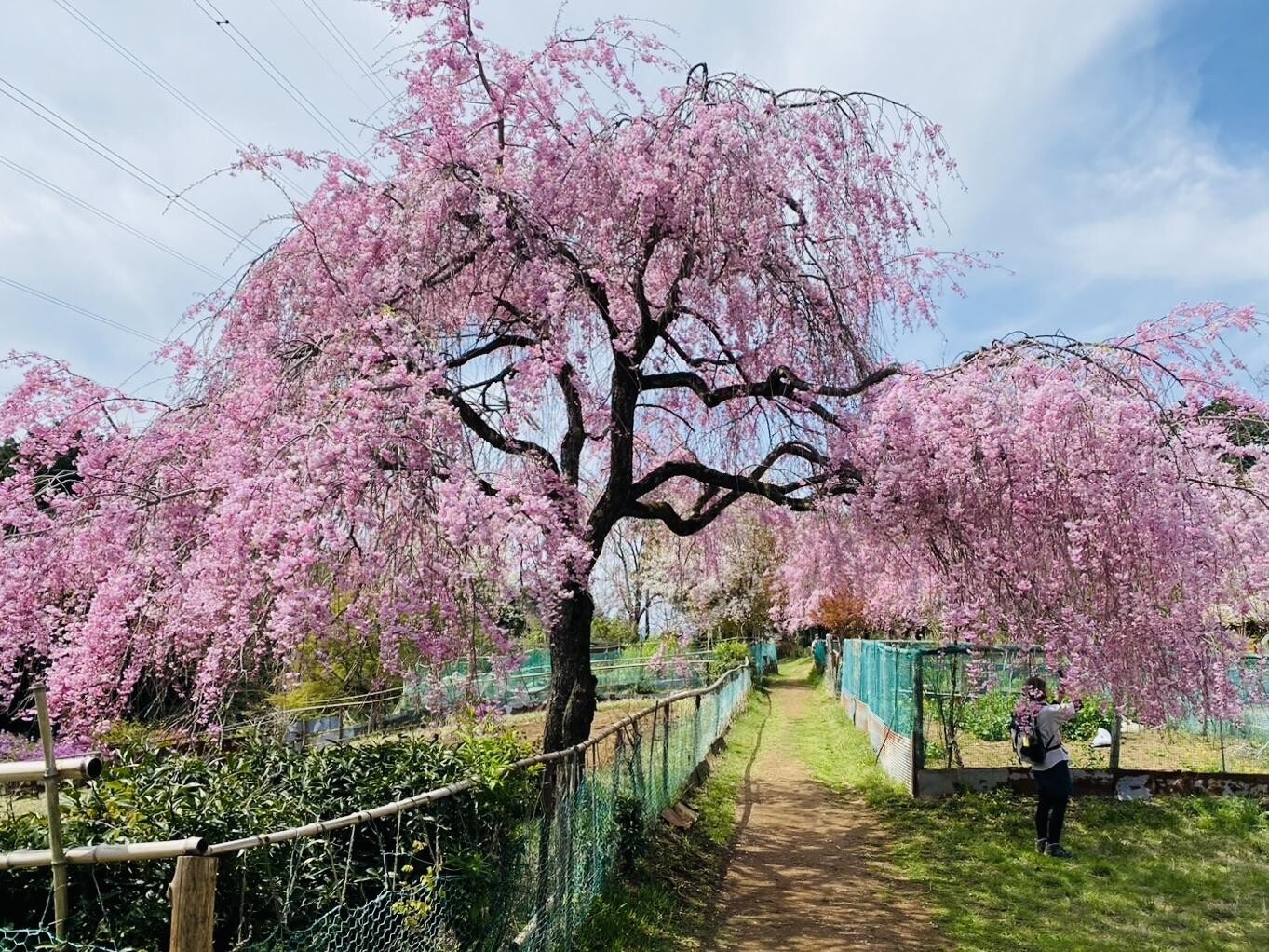 彩の国south試走 / chigusaさんの関八州見晴台の活動データ | YAMAP / ヤマップ