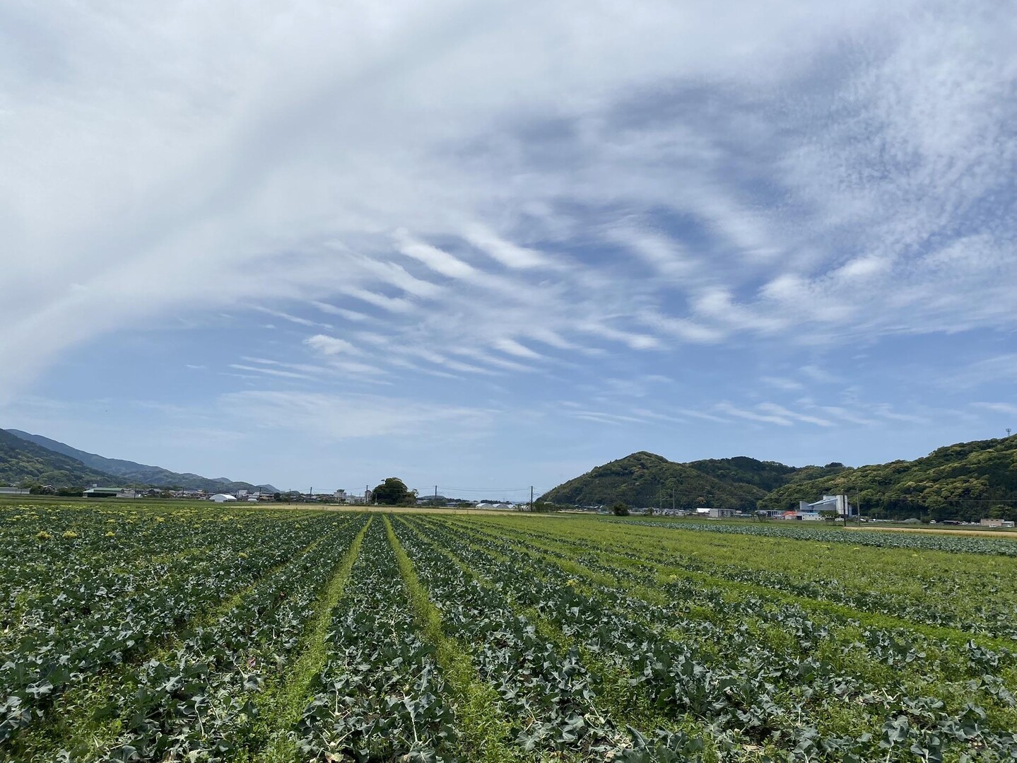 お世話になった方々に御礼行脚。の途中に二... / rebiさんのモーメント | YAMAP / ヤマップ