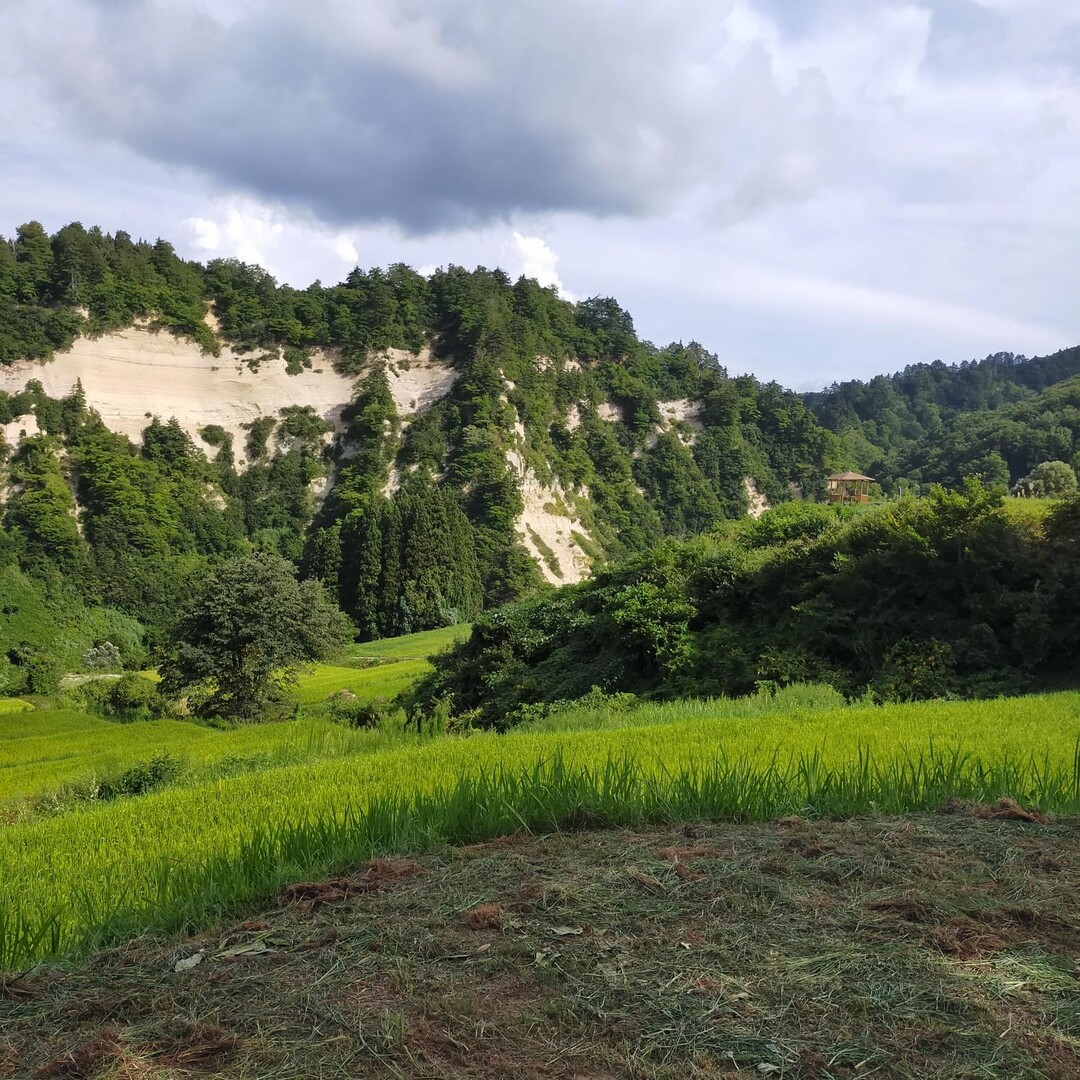 大蔵村の四ヶ村（シカムラって読むんだって... / jtyhじじさんのモーメント | YAMAP / ヤマップ