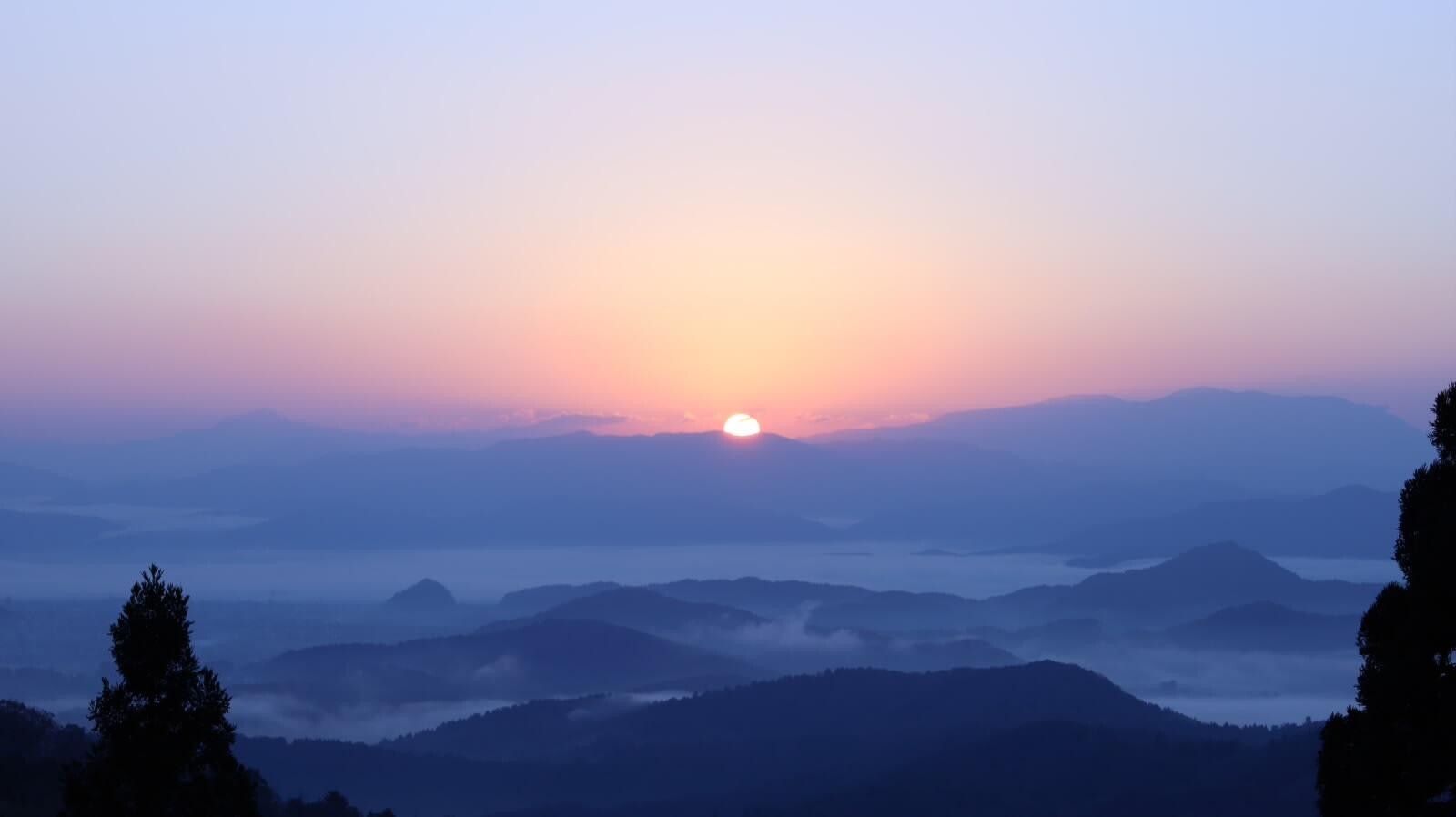 久しぶりの文殊山（今年19回目の文珠山） / Ichiさんの文殊山の活動データ | YAMAP / ヤマップ