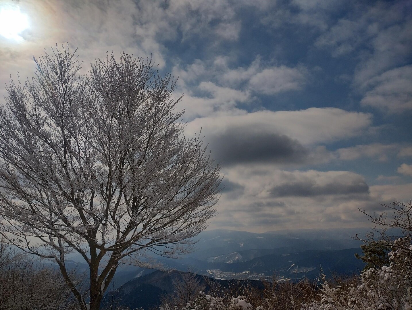 皿ヶ嶺 / 42insさんの皿ヶ嶺・梅ヶ谷山・うなめごの活動データ | YAMAP / ヤマップ