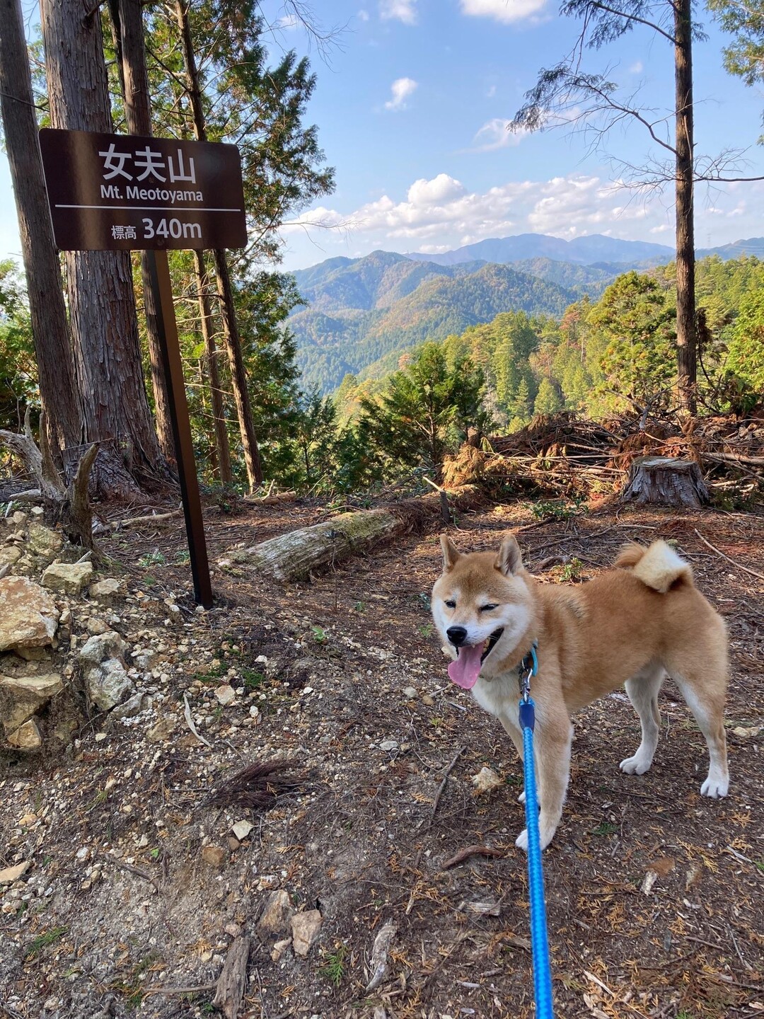 天神山・女夫山・城山 / 大吉の主さんの城山・女夫山・天神山の活動日記 | YAMAP / ヤマップ