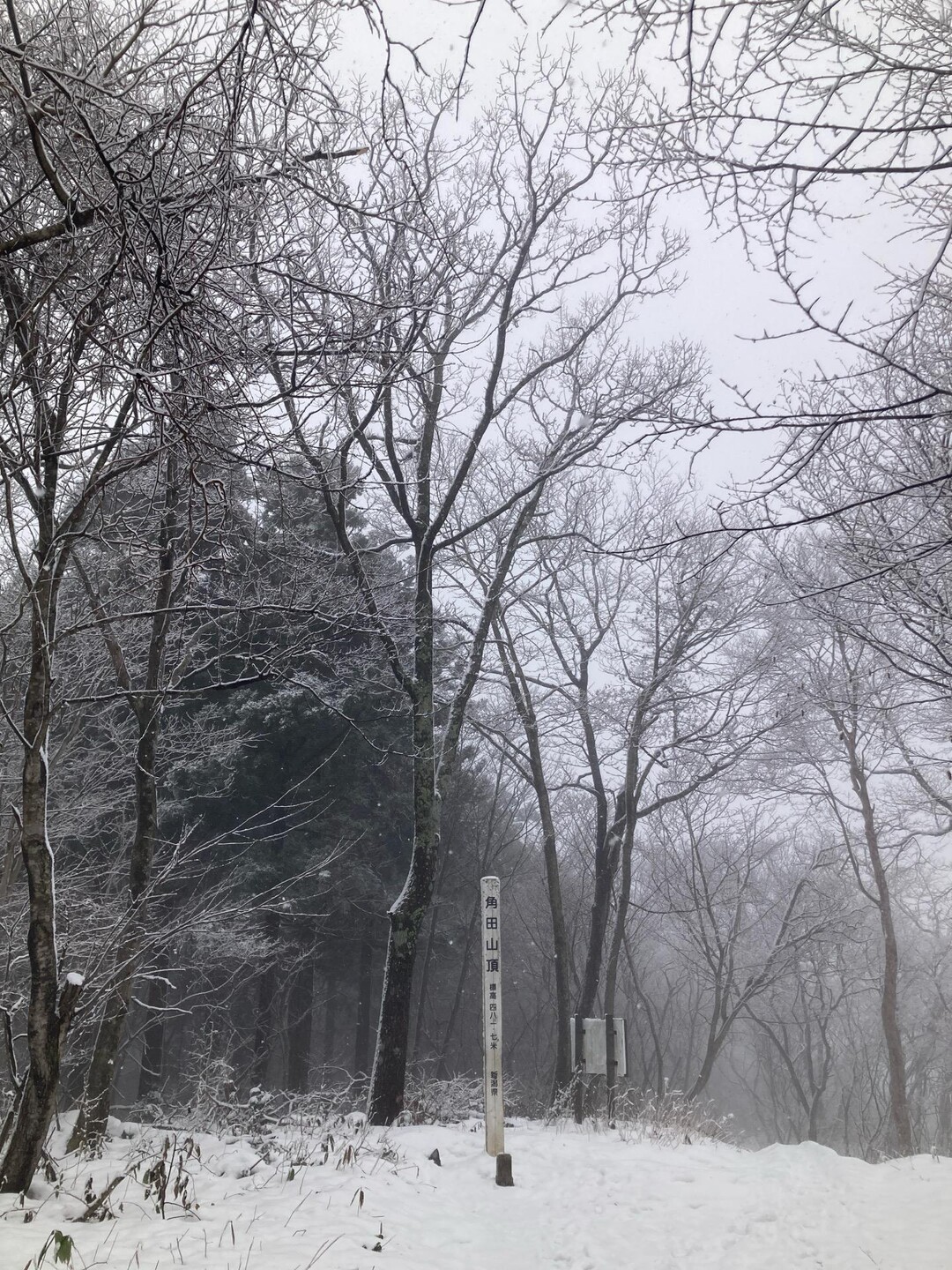 下界は雨角田山⛰14 / katsu.fdさんの角田山の活動データ | YAMAP / ヤマップ