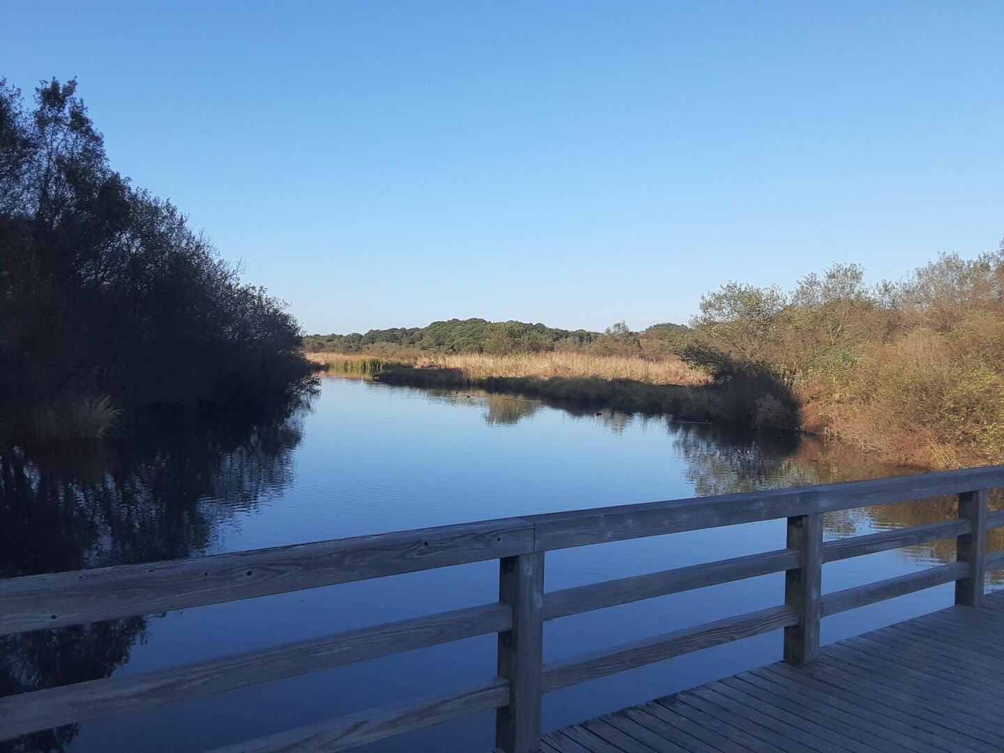 お気に入りのあすなろの里でランチ🎶 食... / mokoさんのモーメント | YAMAP / ヤマップ