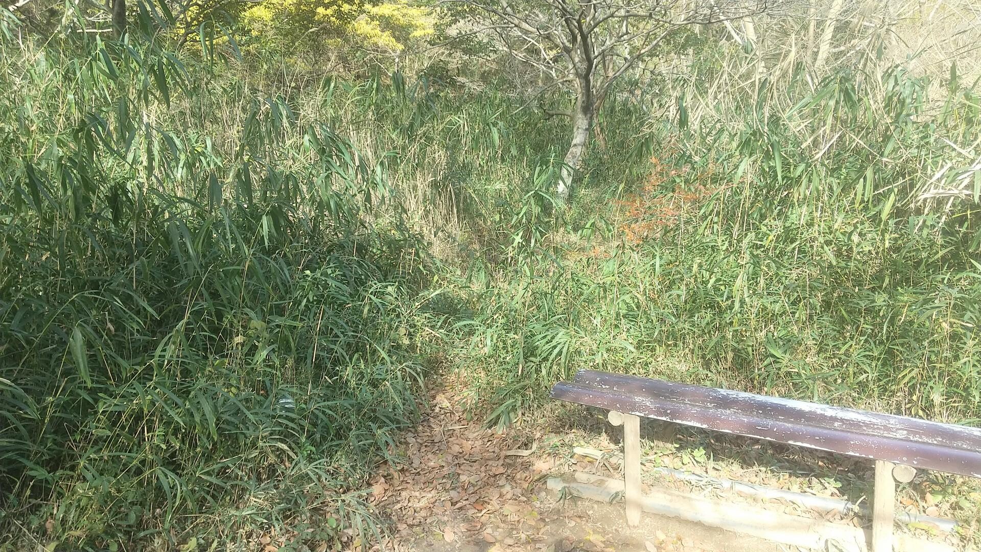 ShinjiHさんの投稿したフィールドメモ | YAMAP / ヤマップ