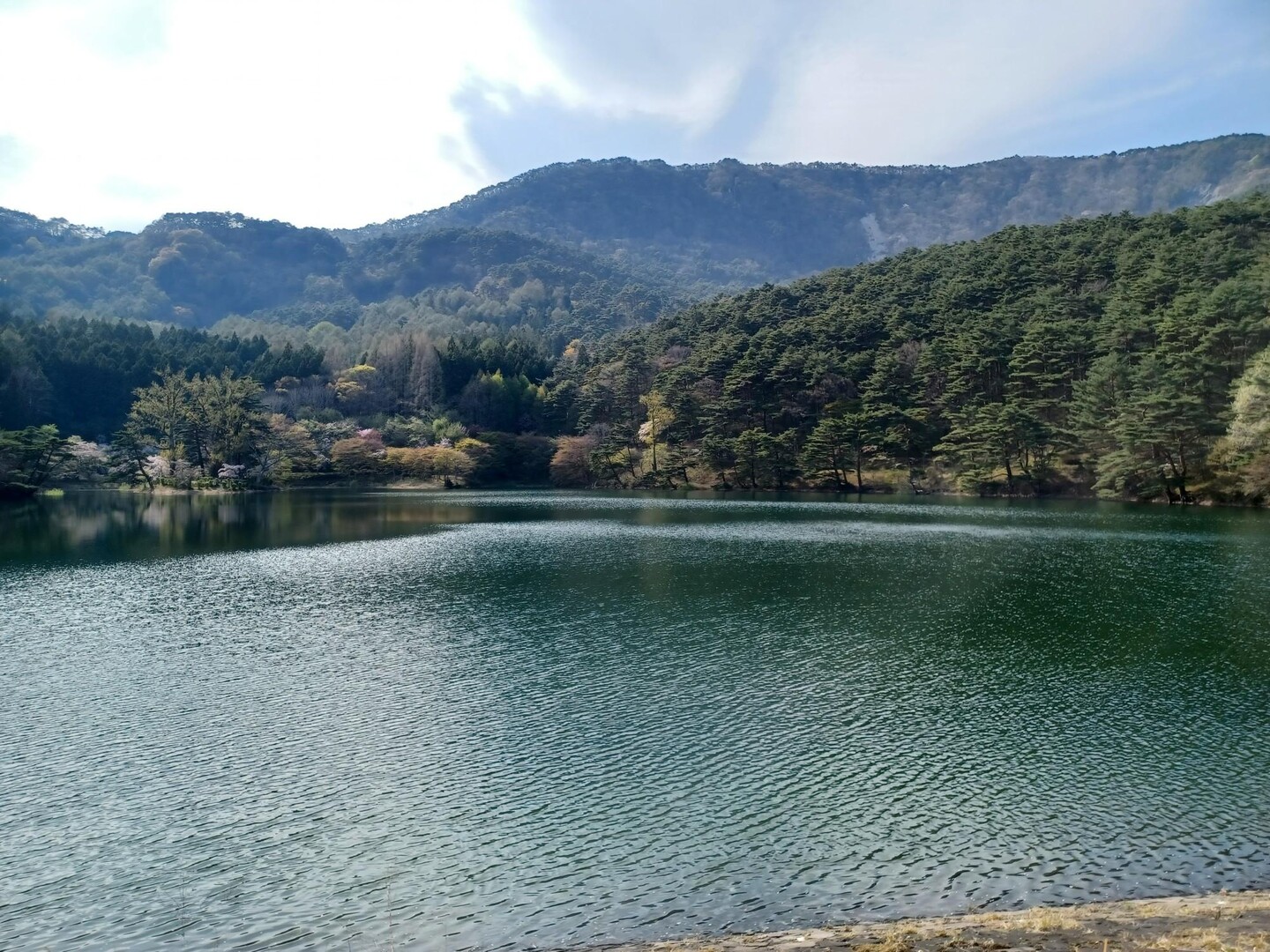 半田沼散策。 湖畔の垂れ桜が綺麗でした。... / junさんのモーメント | YAMAP / ヤマップ
