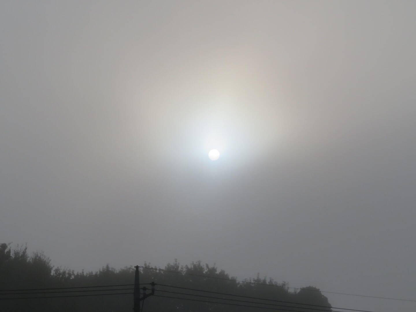 今朝。朝靄(あさもや)の中に見えた太陽。... / きよぞうさんのモーメント | YAMAP / ヤマップ