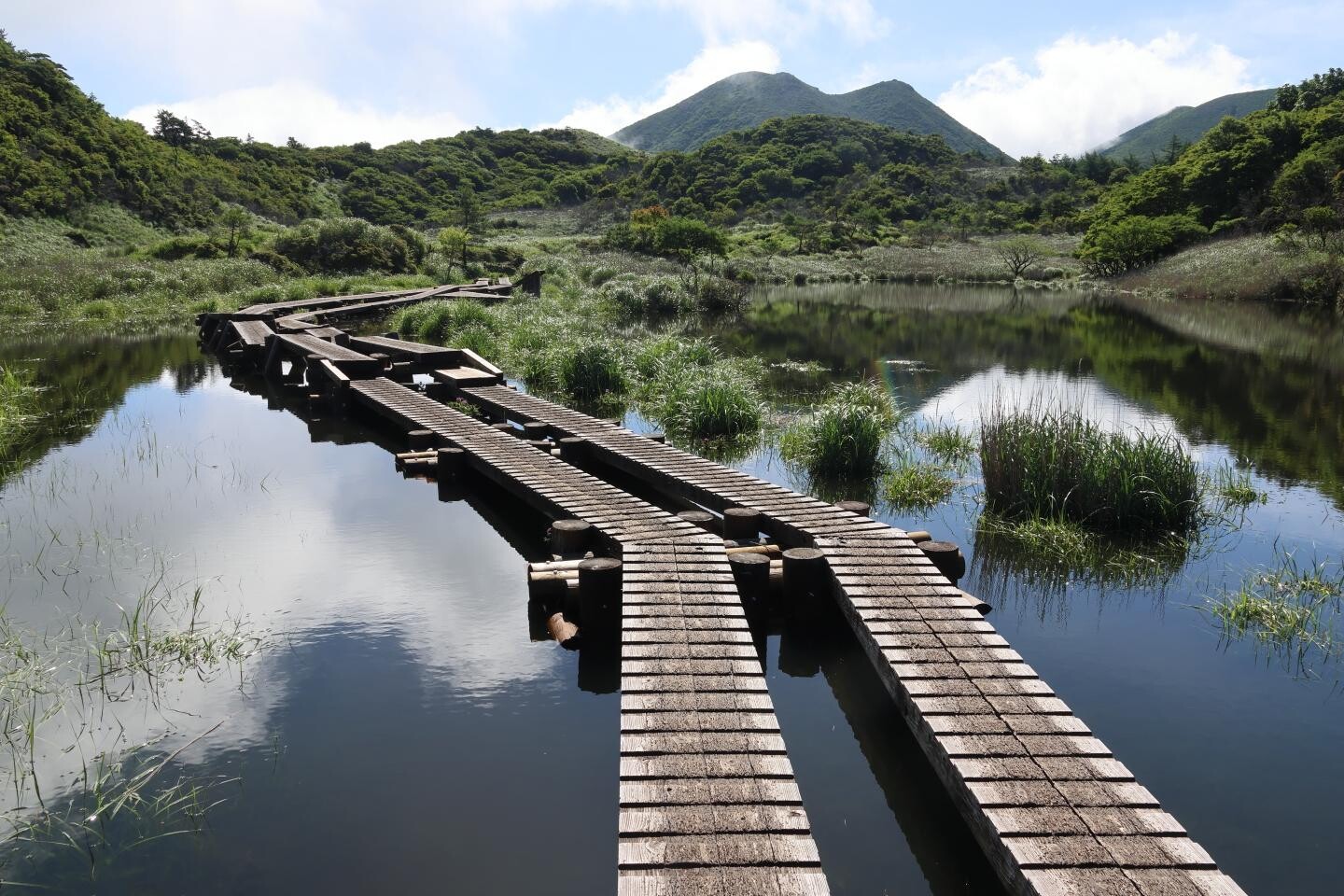 雨ケ池 / miippさんの九重山（久住山）・大船山・星生山の活動日記 | YAMAP / ヤマップ