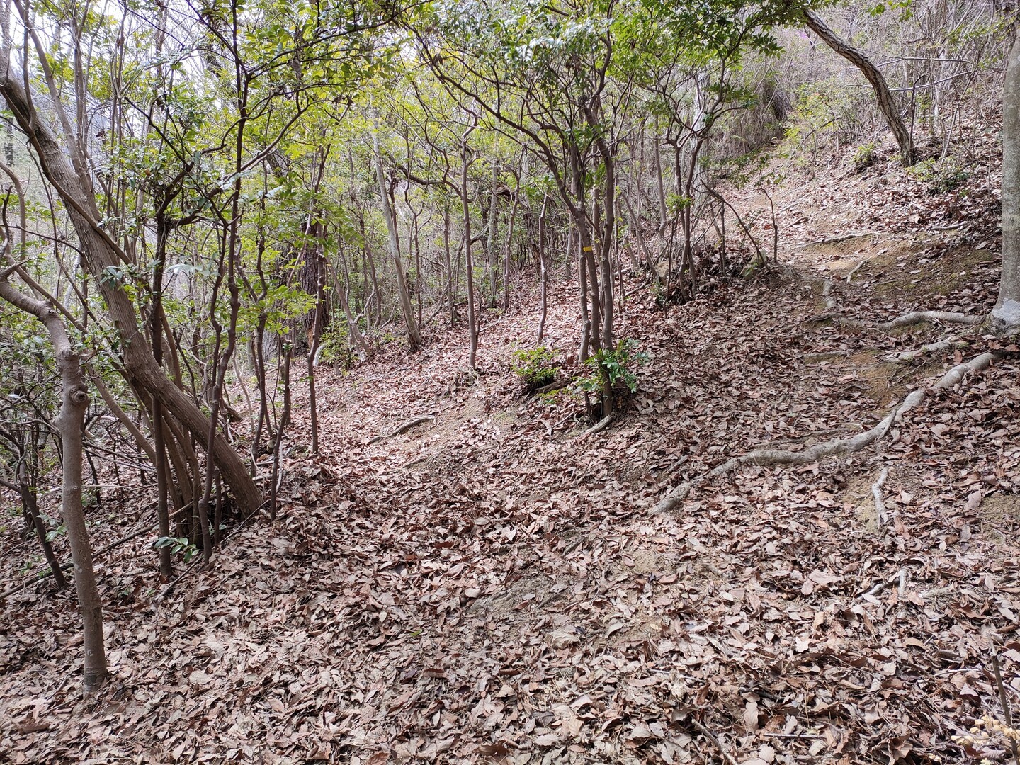 you1 さんの投稿したフィールドメモ | YAMAP / ヤマップ