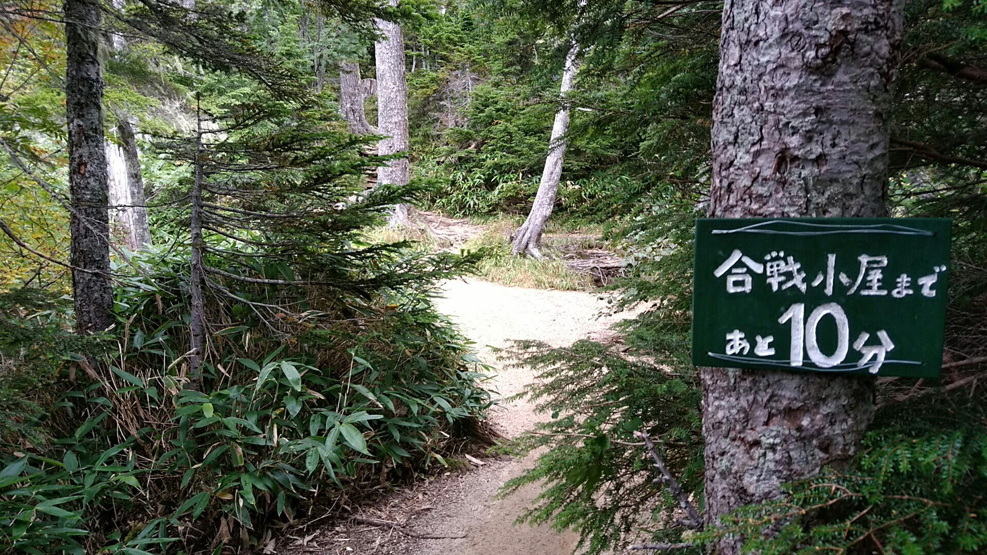 燕岳～燕山荘100周年グッズを求めて～ / 燕岳・餓鬼岳・唐沢岳の写真11枚目 / あと5分Ver.あり。 | YAMAP / ヤマップ