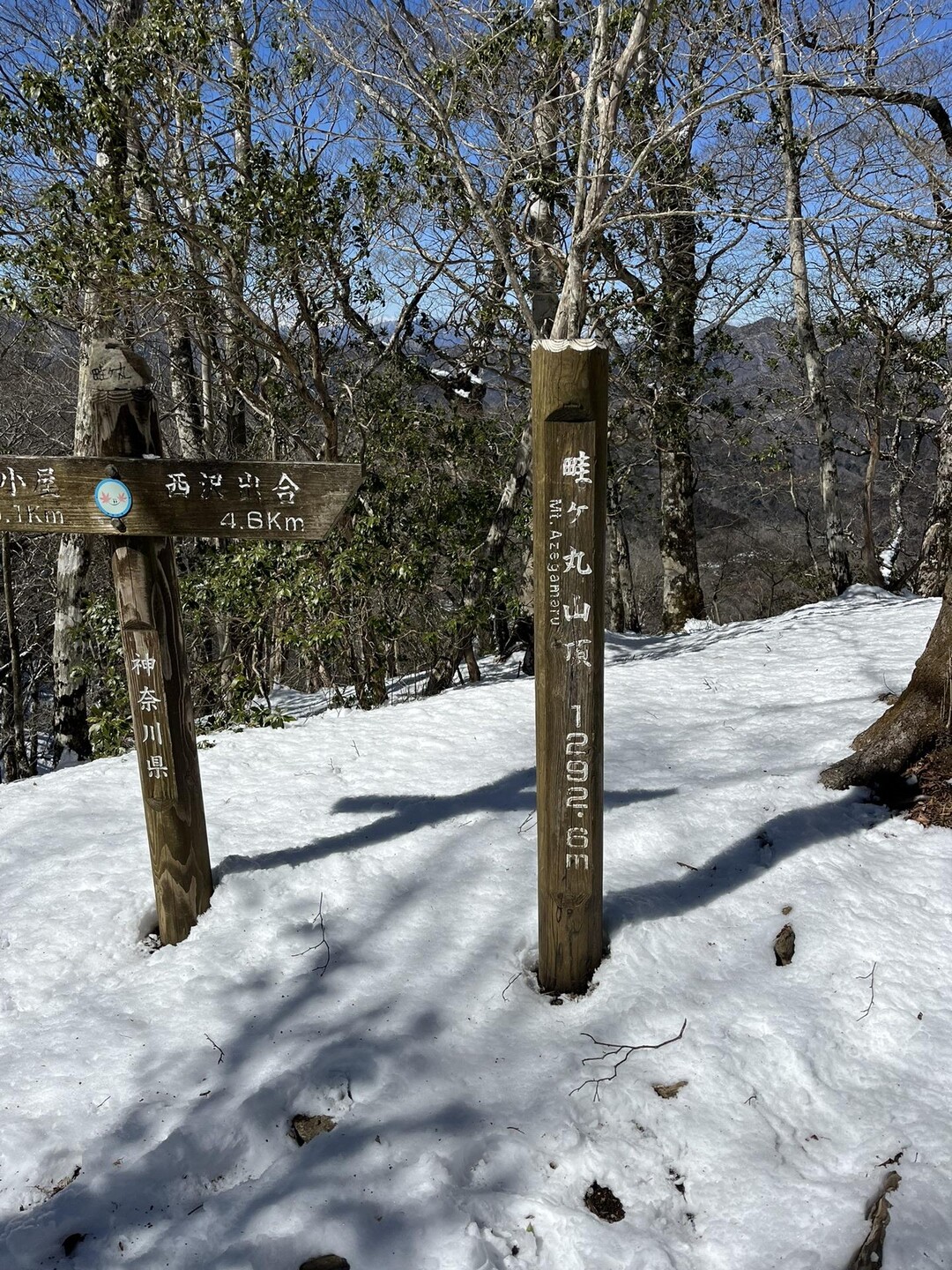 道の駅道志〜畦ヶ丸 / @mamoさんの大室山・畦ヶ丸山・菰釣山の活動データ | YAMAP / ヤマップ