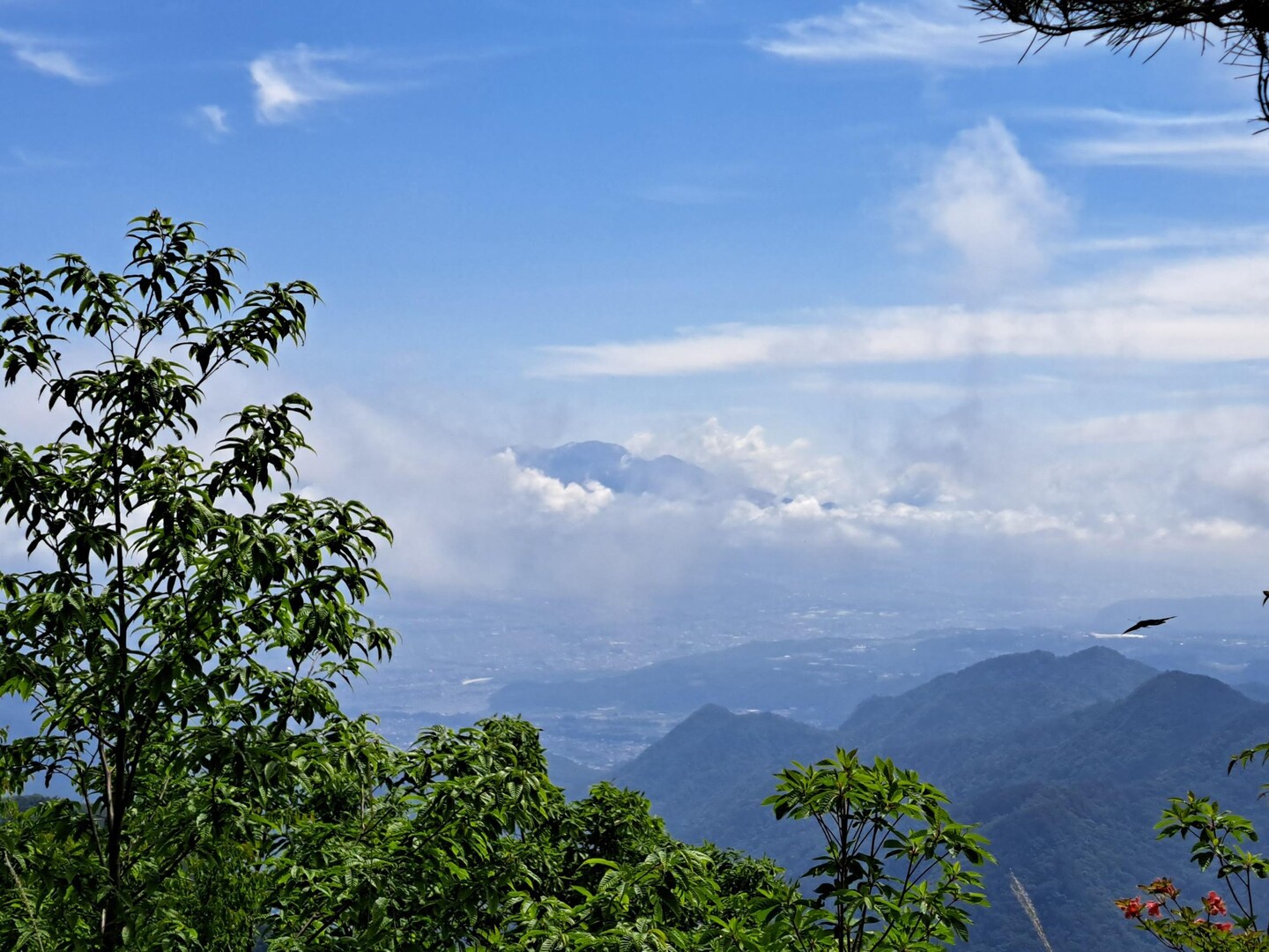 独鈷山、1人からの2人登山 / take2さんの独鈷山・弘法山の活動データ | YAMAP / ヤマップ