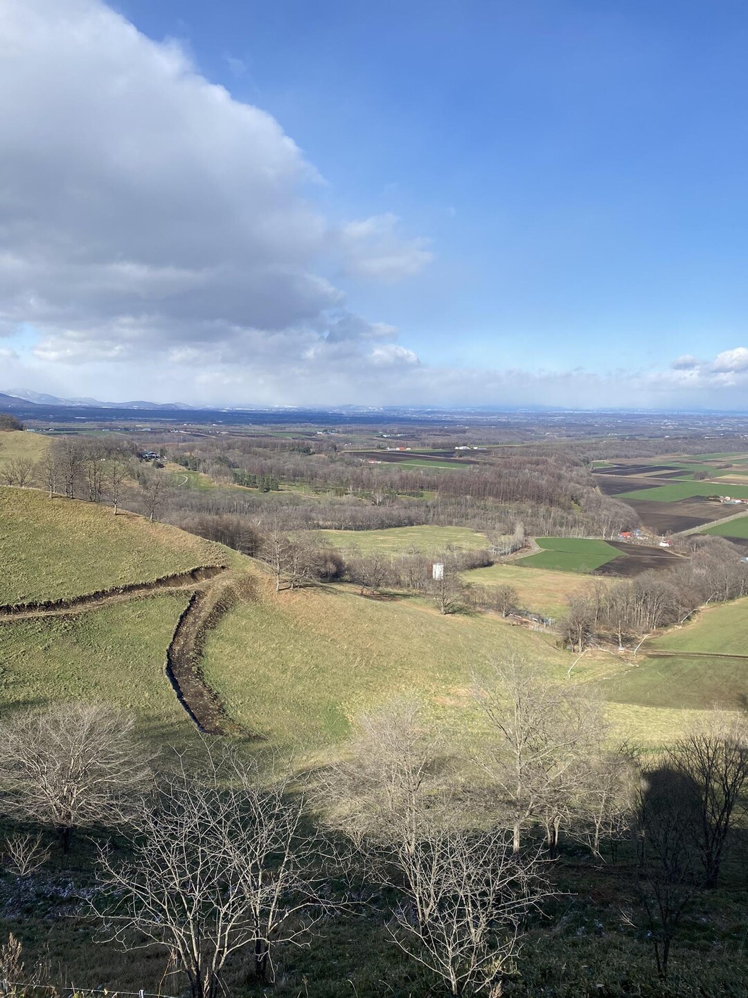 お山歩だよ新嵐山 / satoさんの新嵐山の活動データ | YAMAP / ヤマップ