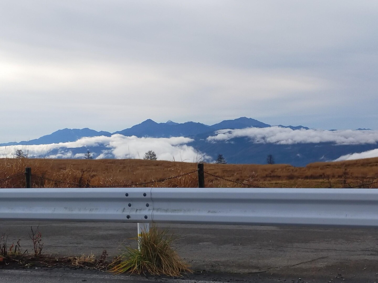 今朝の霧ヶ峰です！マイナス1度ですよ！ス... / OFFICE 岳さんのモーメント | YAMAP / ヤマップ