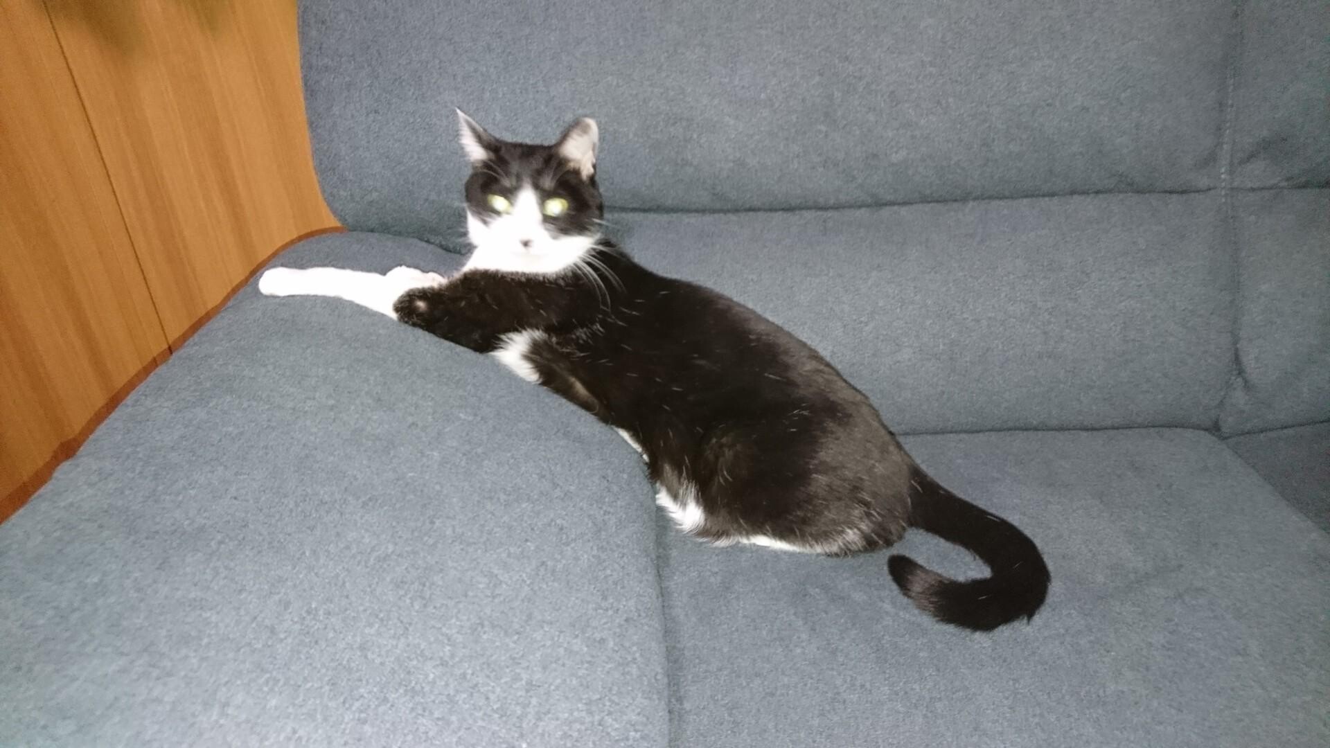 Soraのページ | YAMAP / ヤマップ