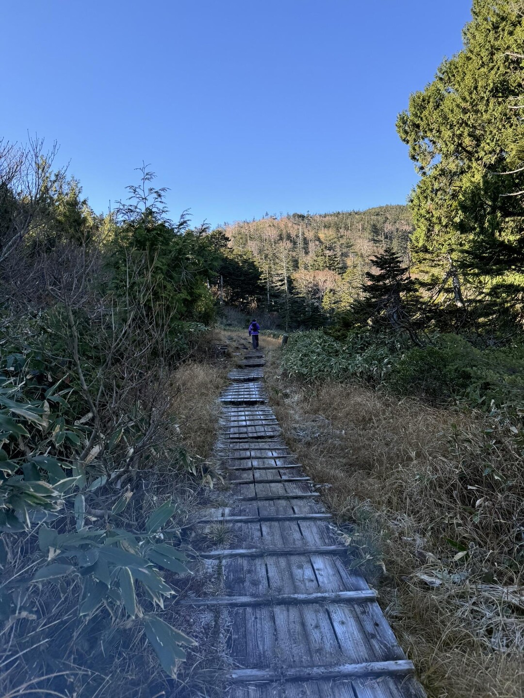 神楽ヶ峰・苗場山 / yuu31さんの苗場山・赤倉山・佐武流山の活動データ | YAMAP / ヤマップ