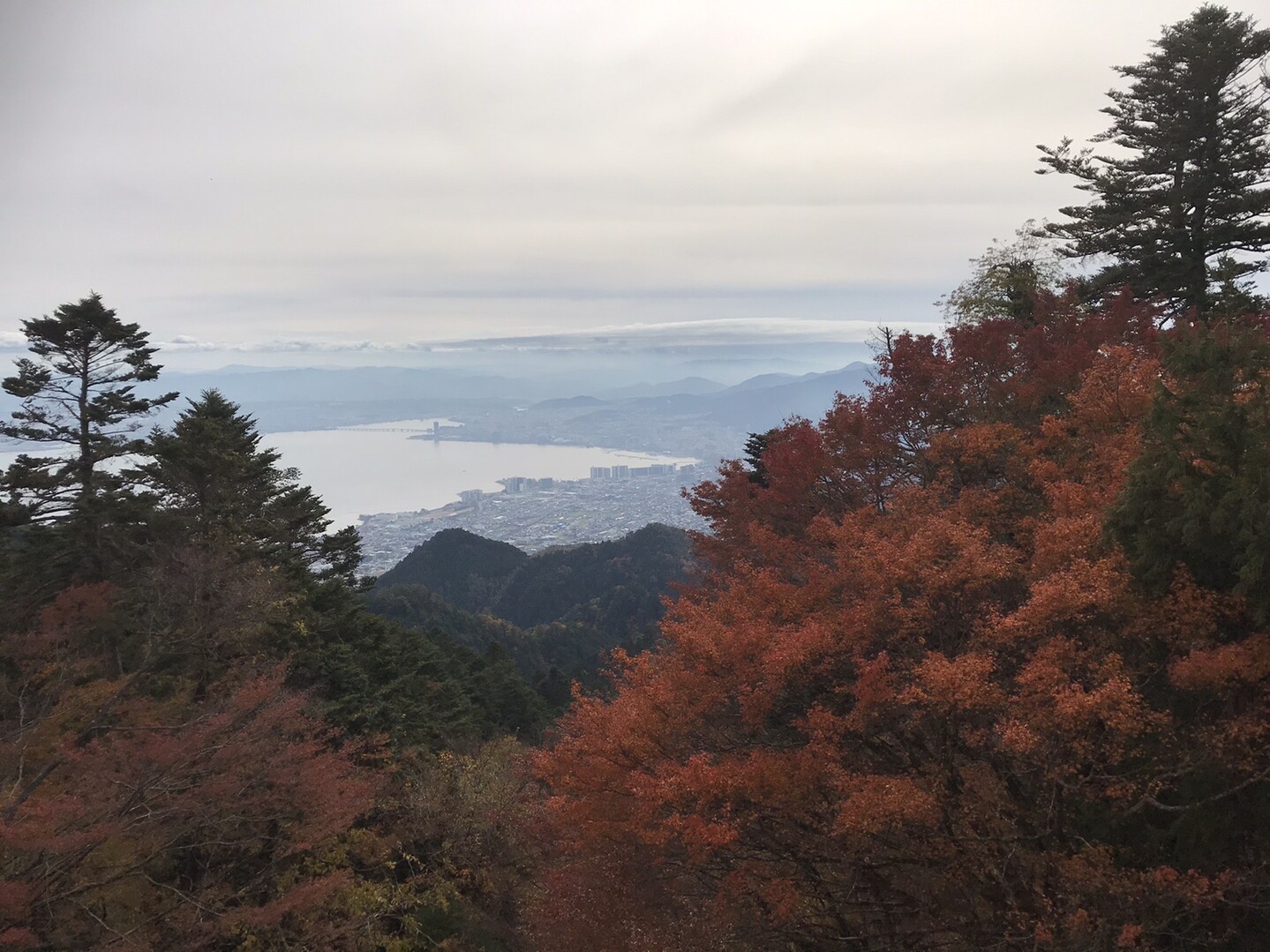 比叡山・横高山・大尾山-2019-11-24 / Gakuto.mamoさんの比叡山・横高山・梶山の活動データ | YAMAP / ヤマップ