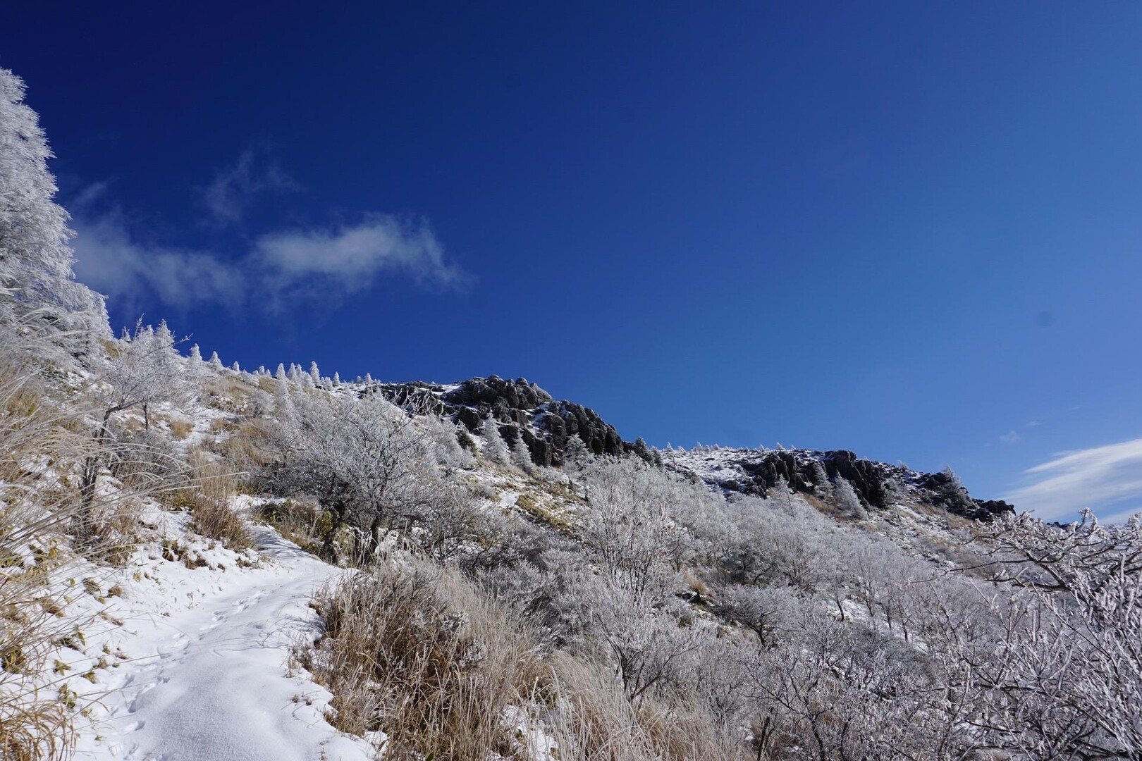 美ヶ原 / ユーザーkanameさんの美ヶ原の活動データ | YAMAP / ヤマップ