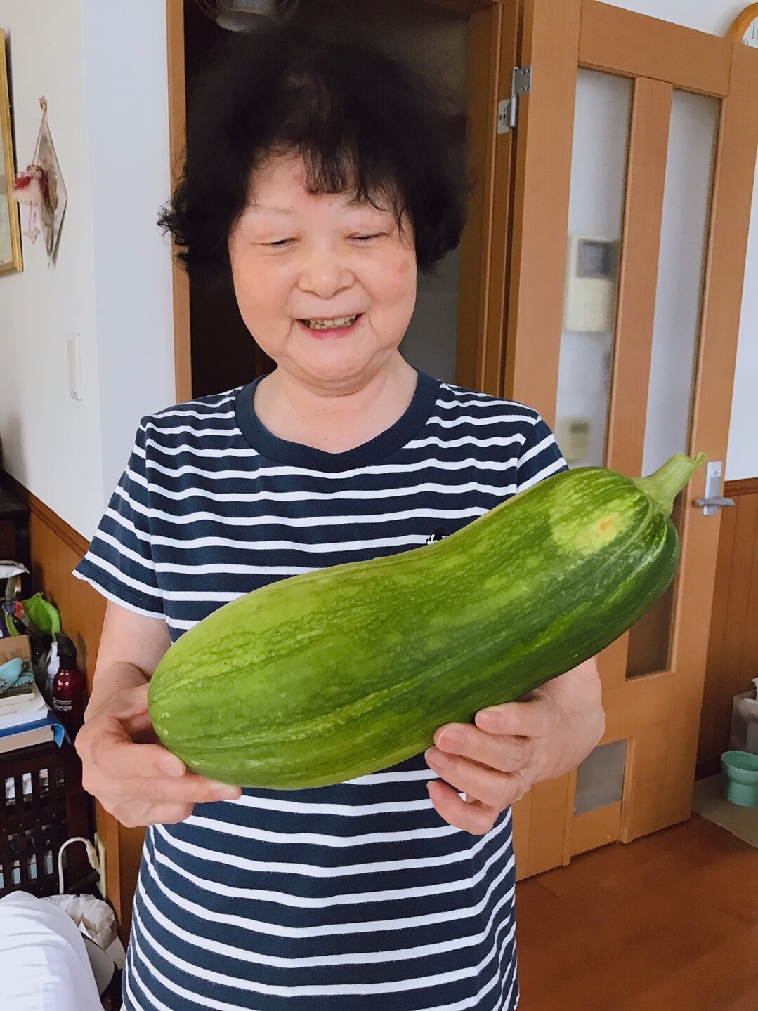 スティホーム中です(-_-).。oO ... / かいこまさんのモーメント | YAMAP / ヤマップ