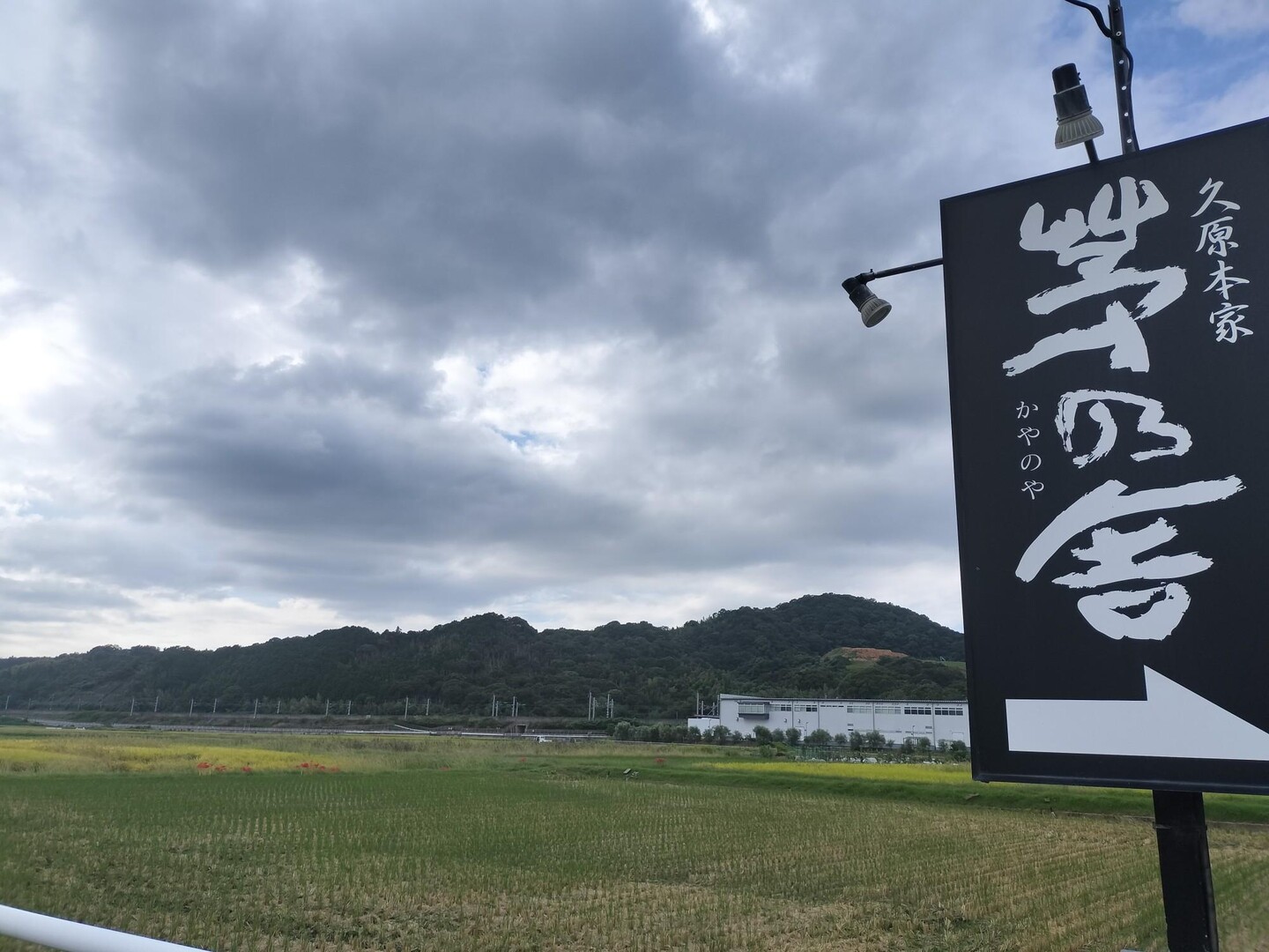 久山3岳取った🙌🏻＞東三岳・中三岳・三岳 / sol..さんの犬鳴山・西山（鮎坂山）の活動データ | YAMAP / ヤマップ