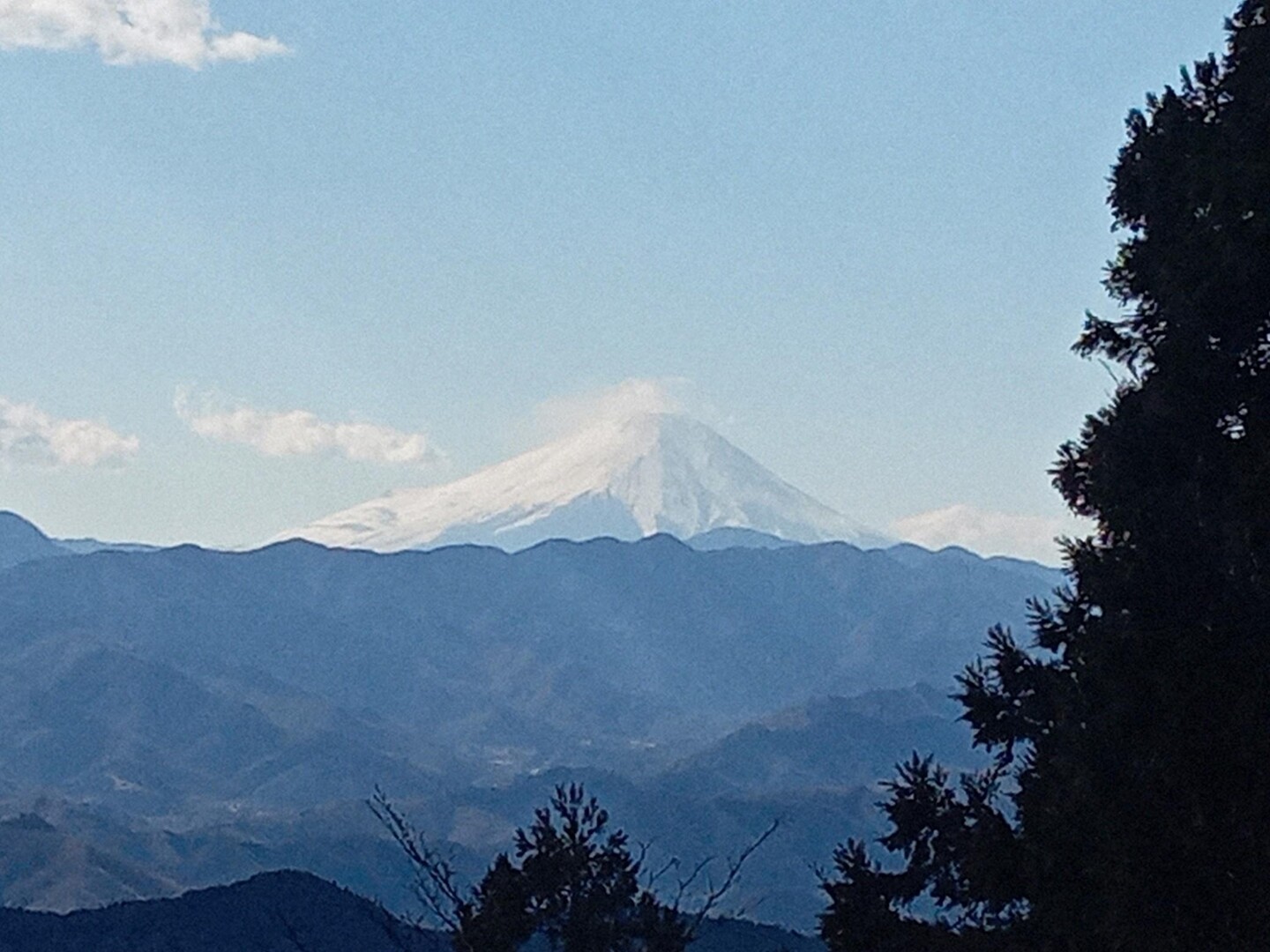 陣馬山〜高尾山 / yuzoさんの高尾山・陣馬山・景信山の活動日記 | YAMAP / ヤマップ