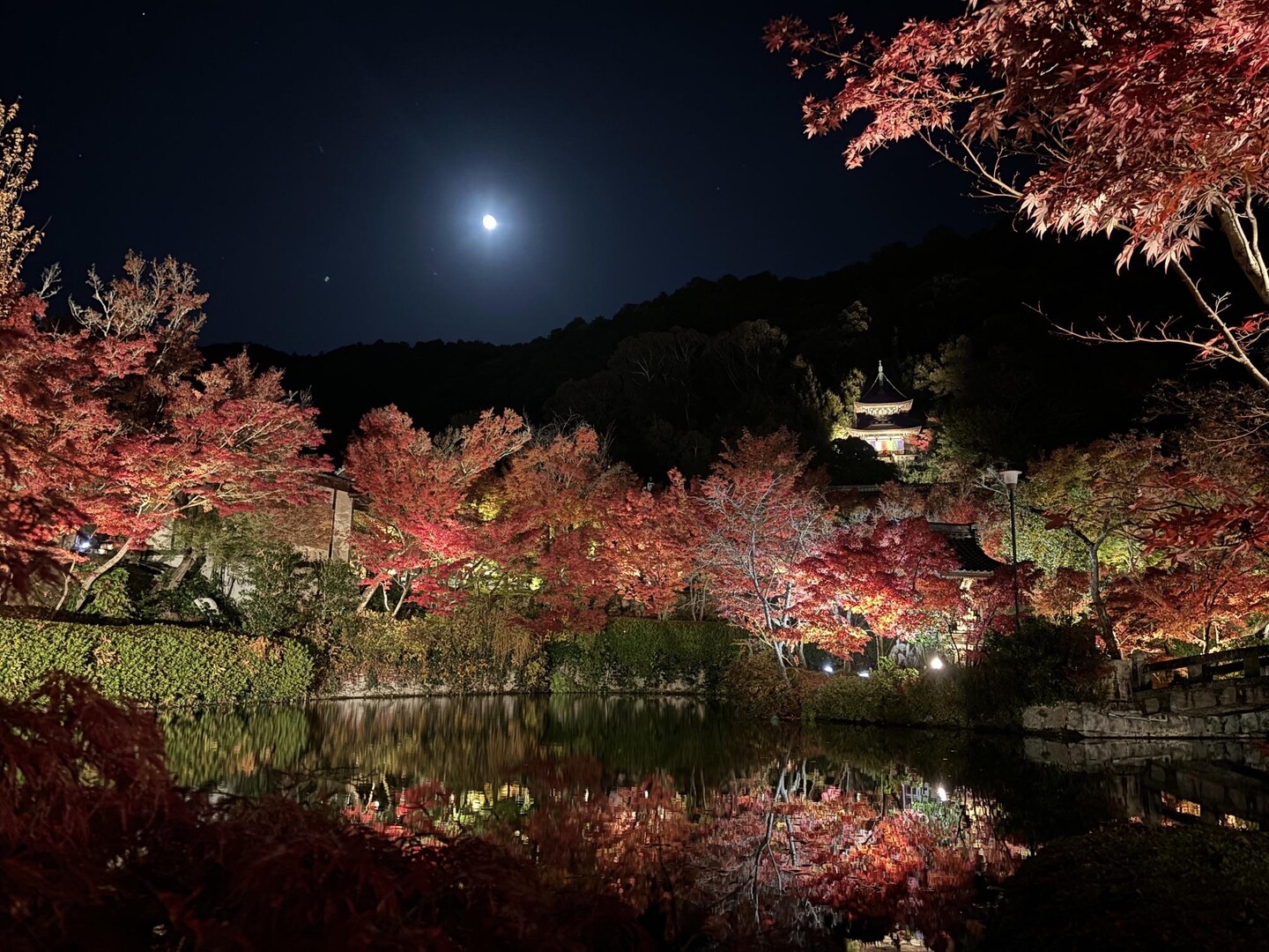 今日は仕事帰りに京都の紅葉で有名な永観堂... / しんさんのモーメント | YAMAP / ヤマップ
