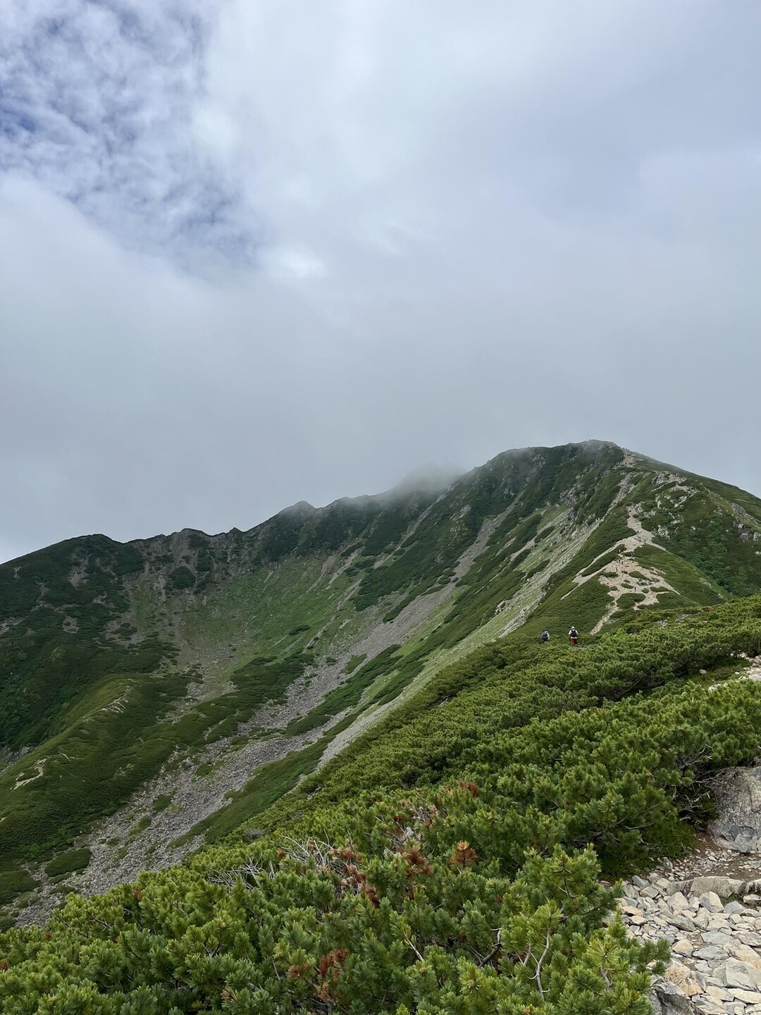 小仙丈ヶ岳・仙丈ヶ岳 / mkさんの仙丈ヶ岳・伊那荒倉岳の活動データ | YAMAP / ヤマップ
