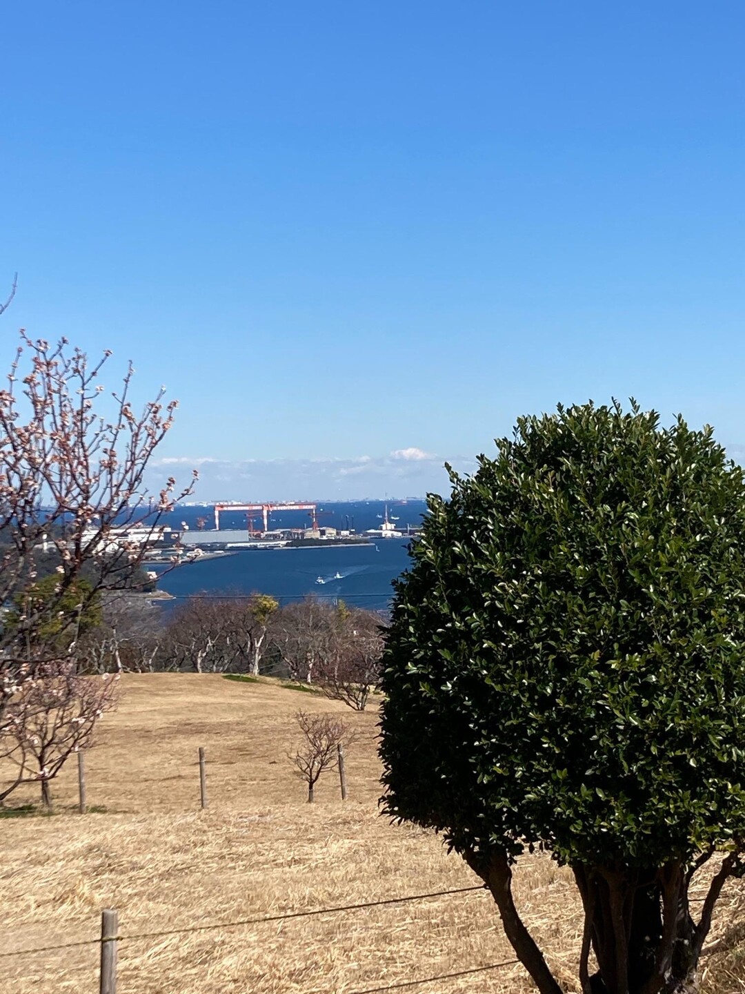 電車で行く、田浦から、矢落山（乳頭山）、東逗子 / mimさんの三浦アルプス・二子山・仙元山の活動データ | YAMAP / ヤマップ