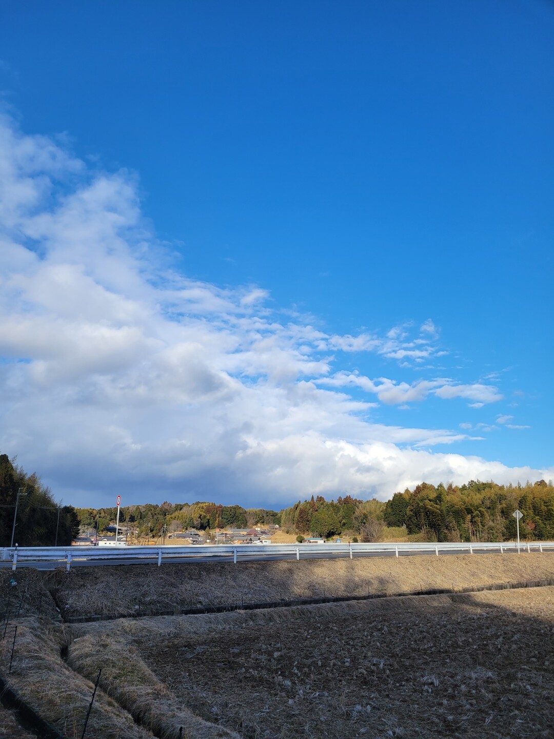 里山ラン🏃‍♂️ 今日は10km走らな... / baseさんのモーメント | YAMAP / ヤマップ