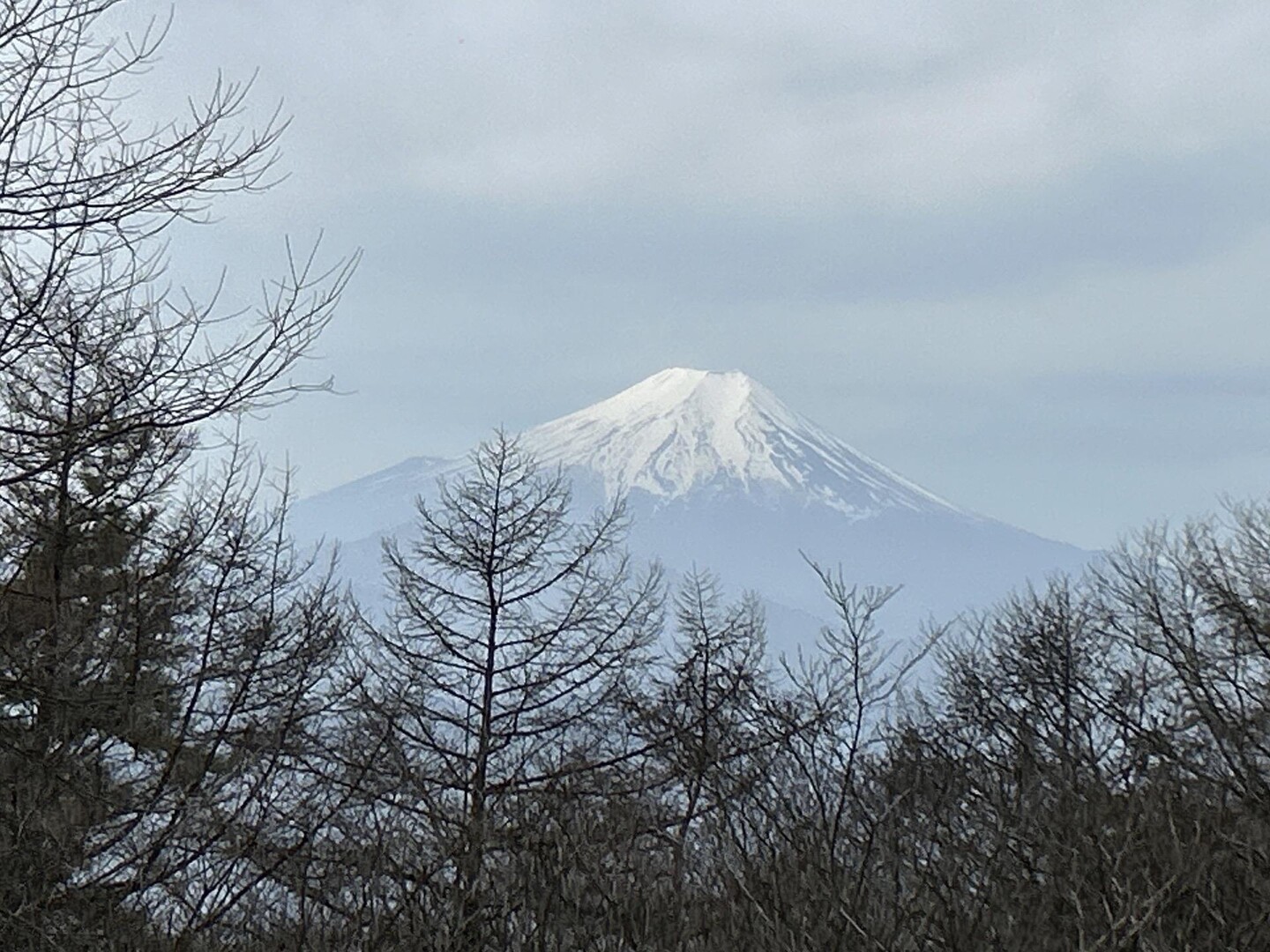 登山教室2 第7回 扇山〜百蔵山 / chappyさんの百蔵山・扇山・権現山の活動日記 | YAMAP / ヤマップ