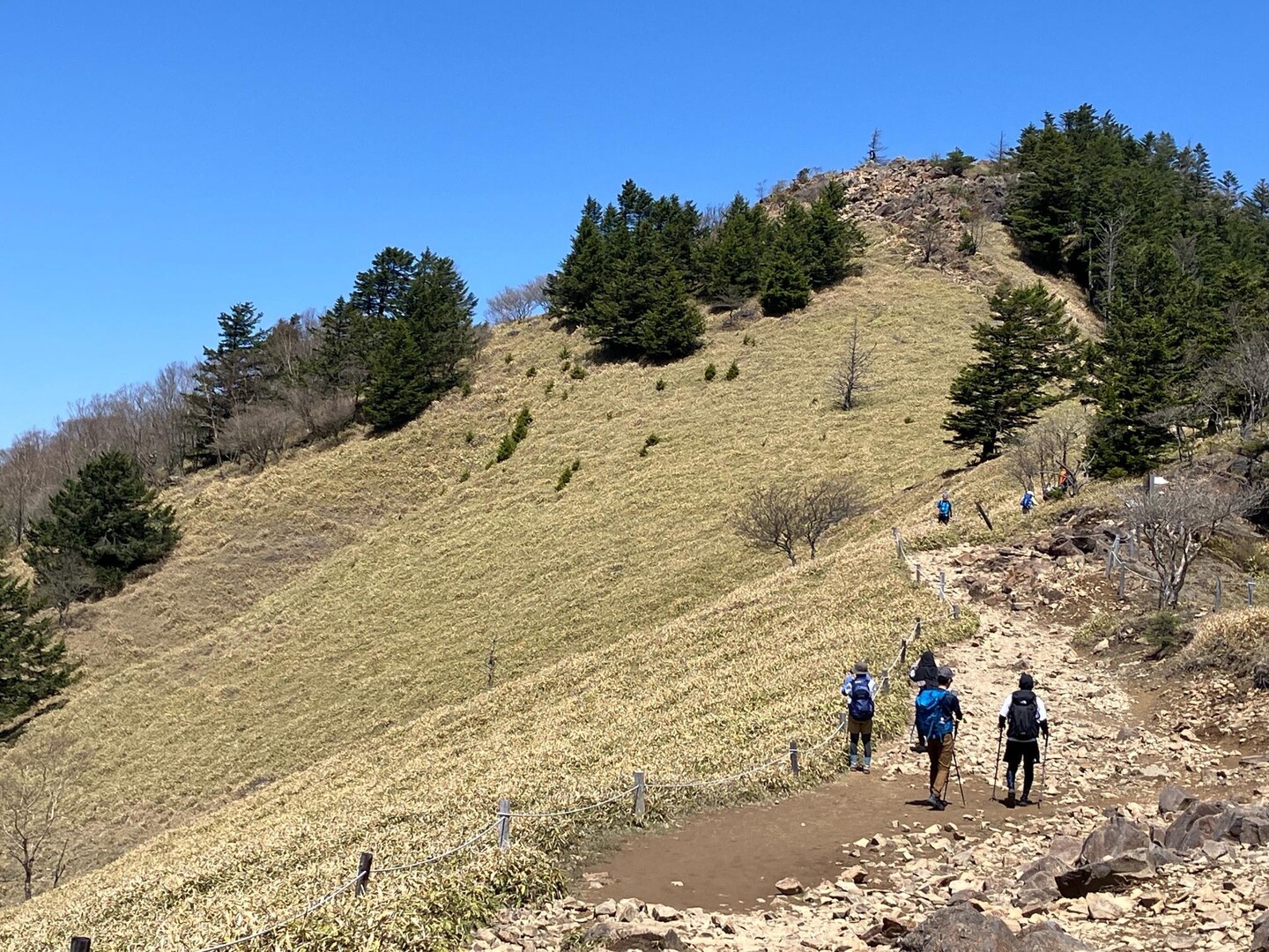 大菩薩嶺 GW2座目 / かつのりさんの大菩薩嶺・鶏冠山・大マテイ山の活動データ | YAMAP / ヤマップ