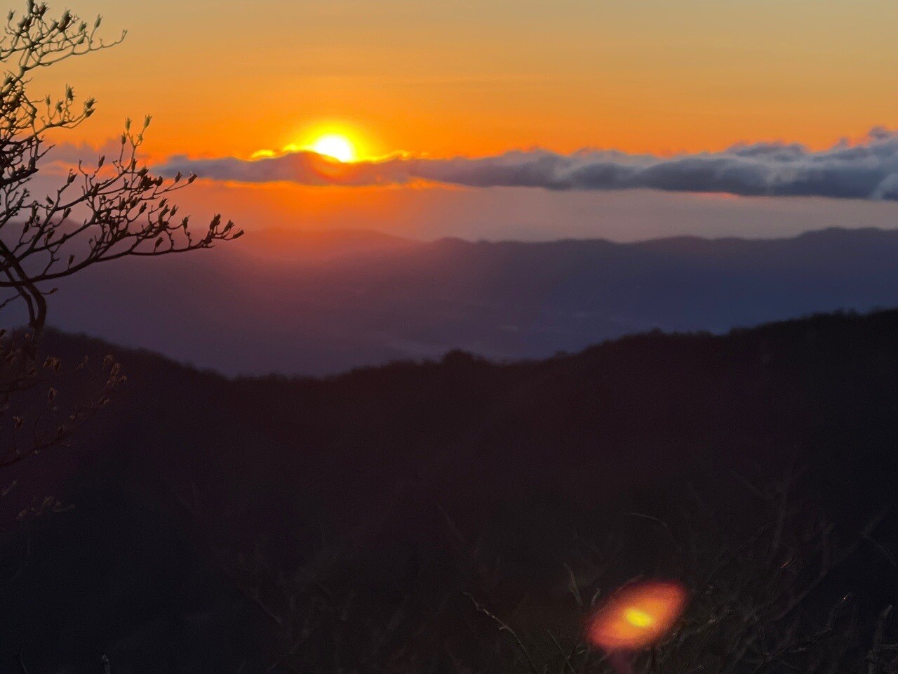 初日の出 越前岳 2002-01-01 / しゃくしさんの愛鷹山・大岳・黒岳の活動データ | YAMAP / ヤマップ
