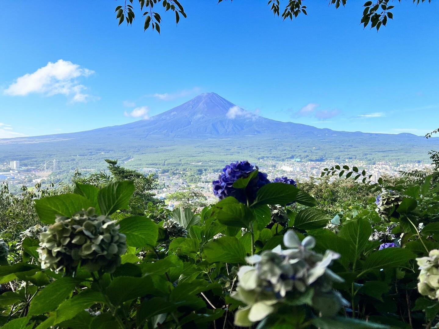 昔話「カチカチ山🐰」は絶景だった / NBさんのFUJISAN LONG TRAIL（御坂・三ツ峠エリア NORTH）の活動データ | YAMAP / ヤマップ